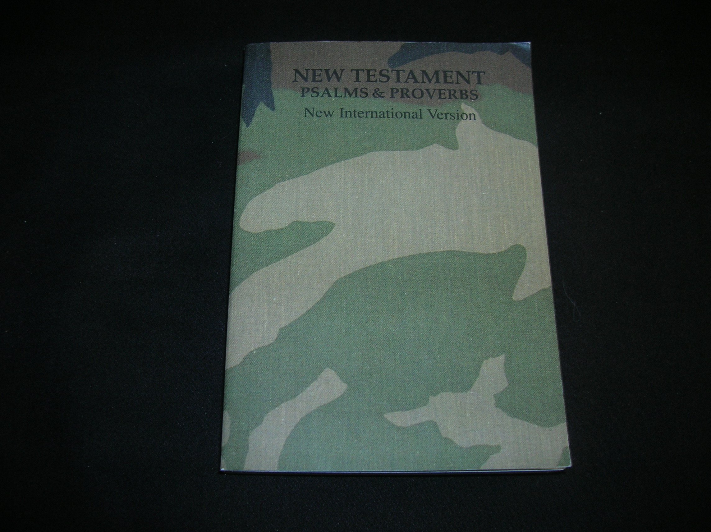 The Holy Bible New Testament, New International Version: International ...