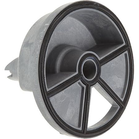 Amazon.com: Pentair 14965-0028 Plug and Gasket Assembly Replacement for ...