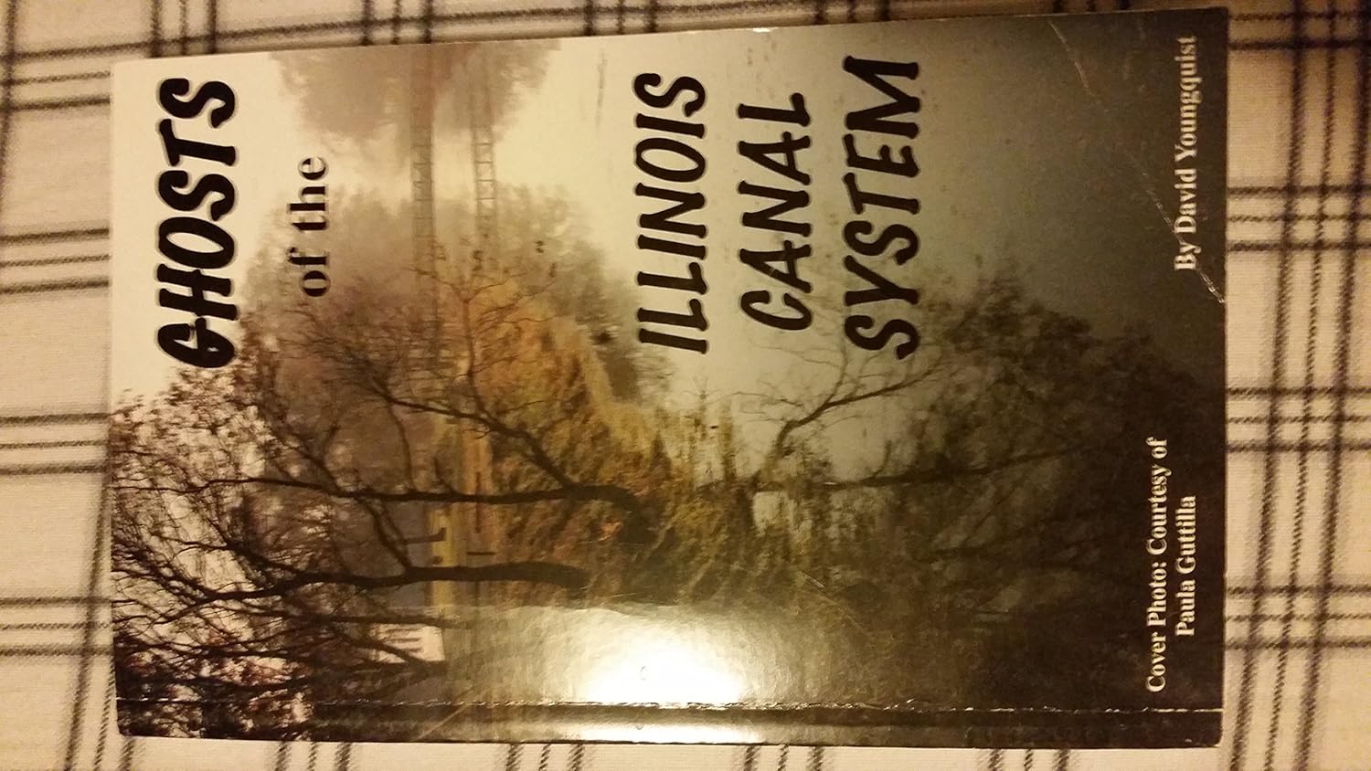 Ghosts of the Illinois Canal System: David Youngquist: 9781571665232 ...