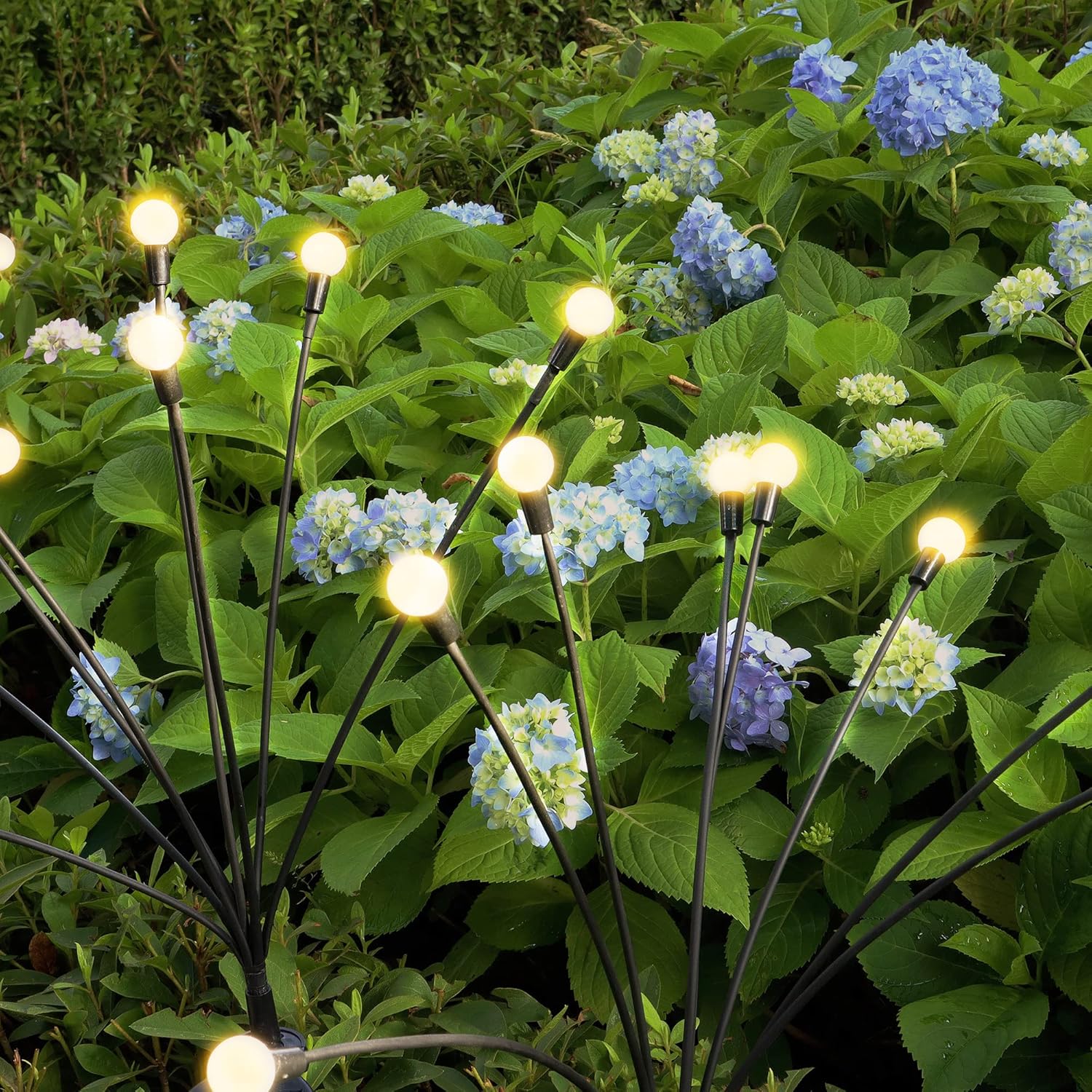 Amazon.com: OOLALOO Solar Garden Lights Warm White 8 LED Firefly ...