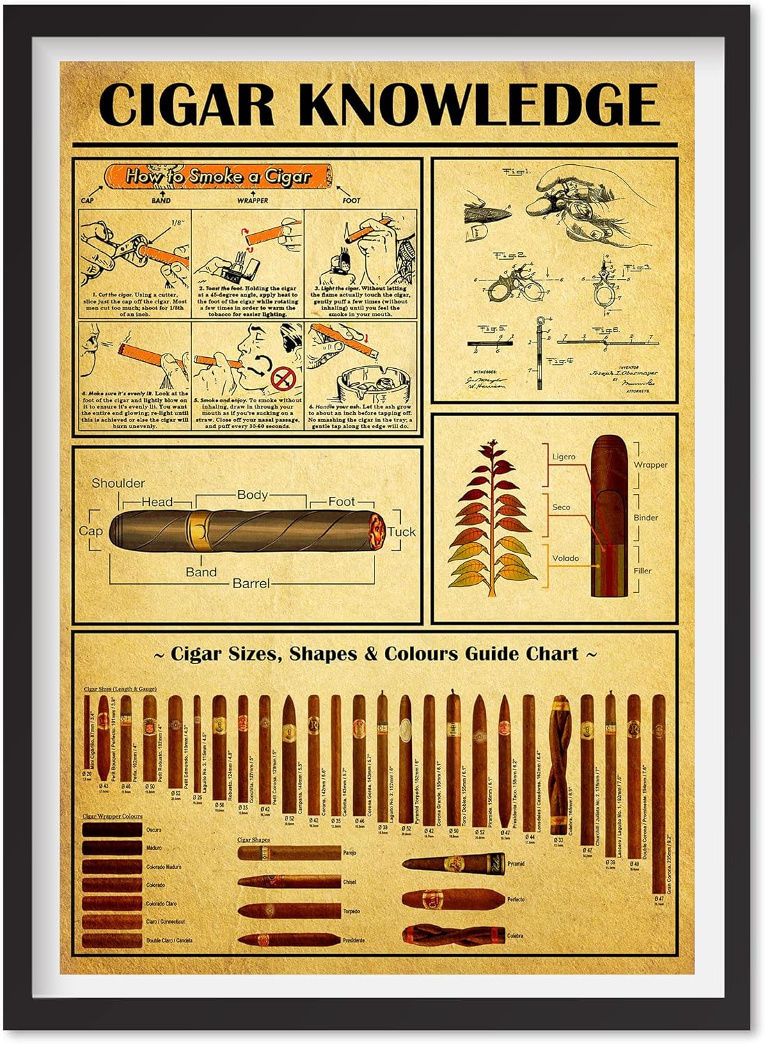 Cigar knowledge poster Cigar Poster Color Guide Diagram Decor : Amazon ...