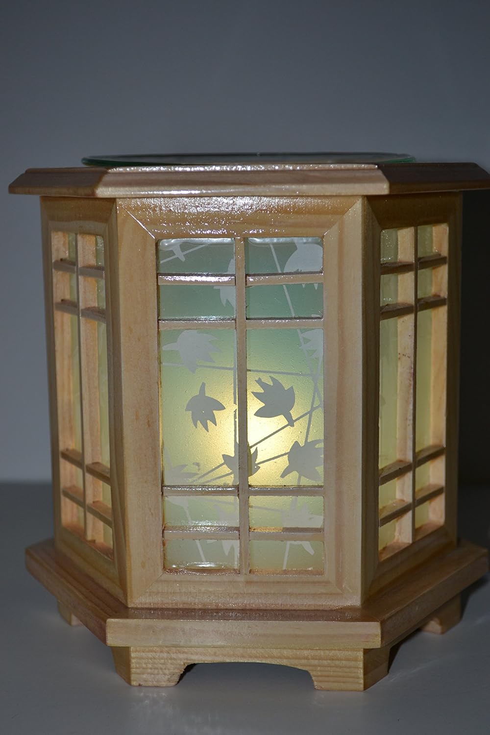 Amazon.com: Light Wood Hexagon Oil Diffuser with Blue Insert : Health ...