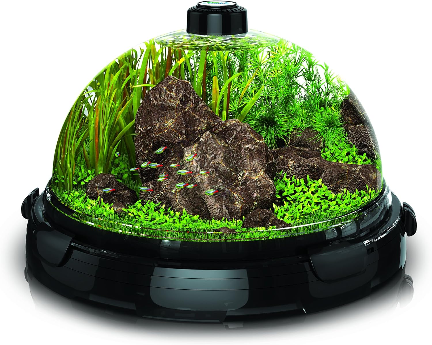 Amazon.com: BioBubble Aquarium Bundle, Black : Everything Else