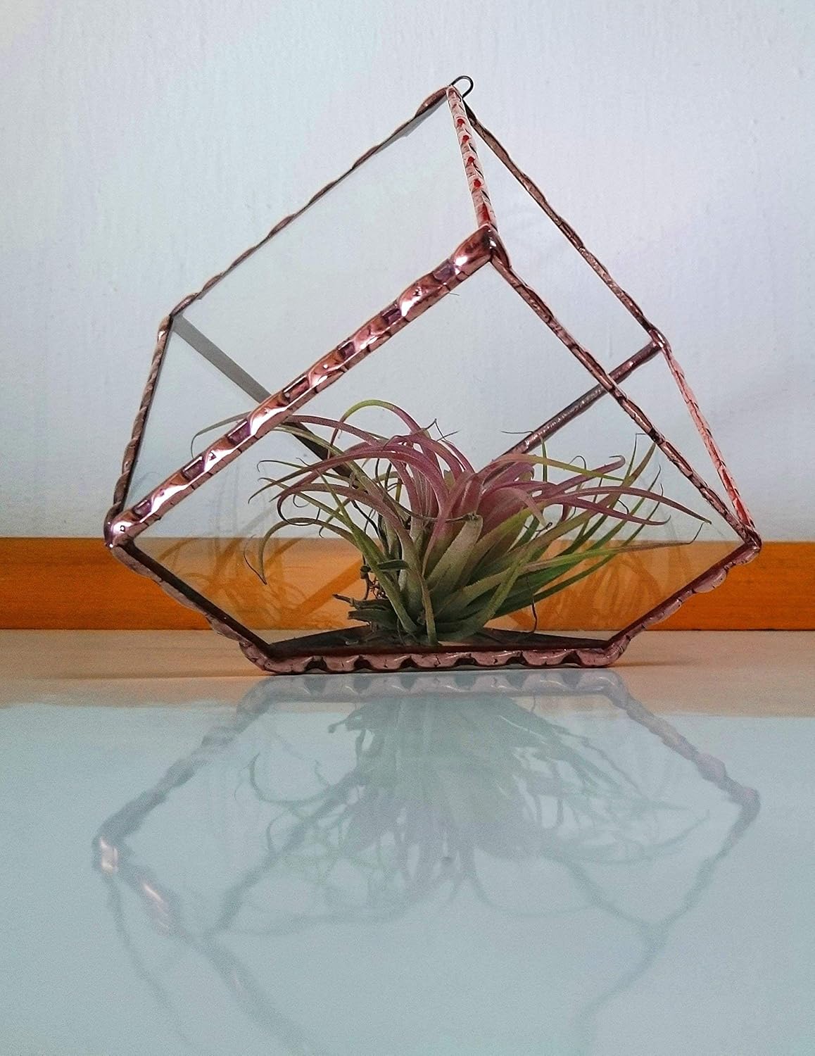 Amazon.com: Geometric Stained Glass, Terrarium, Cube Planter 3.5", For ...