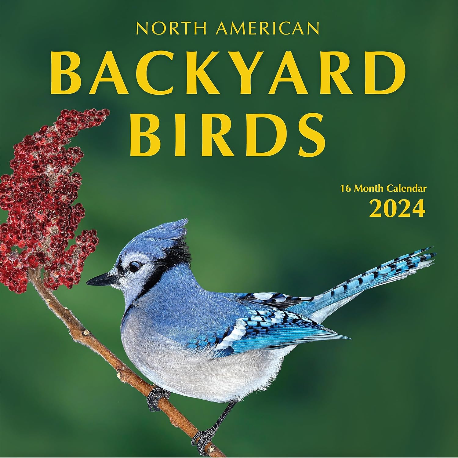 2024 Backyard Birds Hangable Wall Calendar Monthly - 12" x 24" Open ...