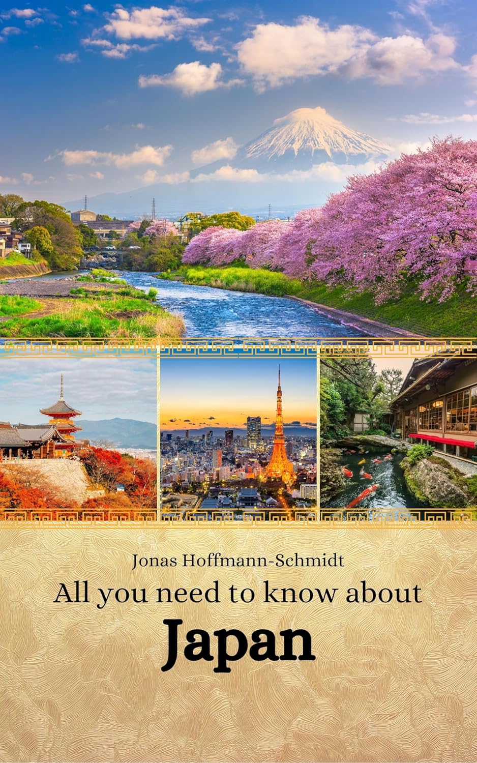 All you need to know about Japan eBook : Hoffmann-Schmidt, Jonas ...