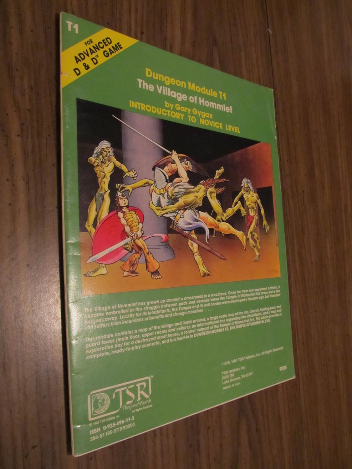 The Village Of Hommlet - Dungeon Module T1: E. Gary Gygax: Amazon.com ...