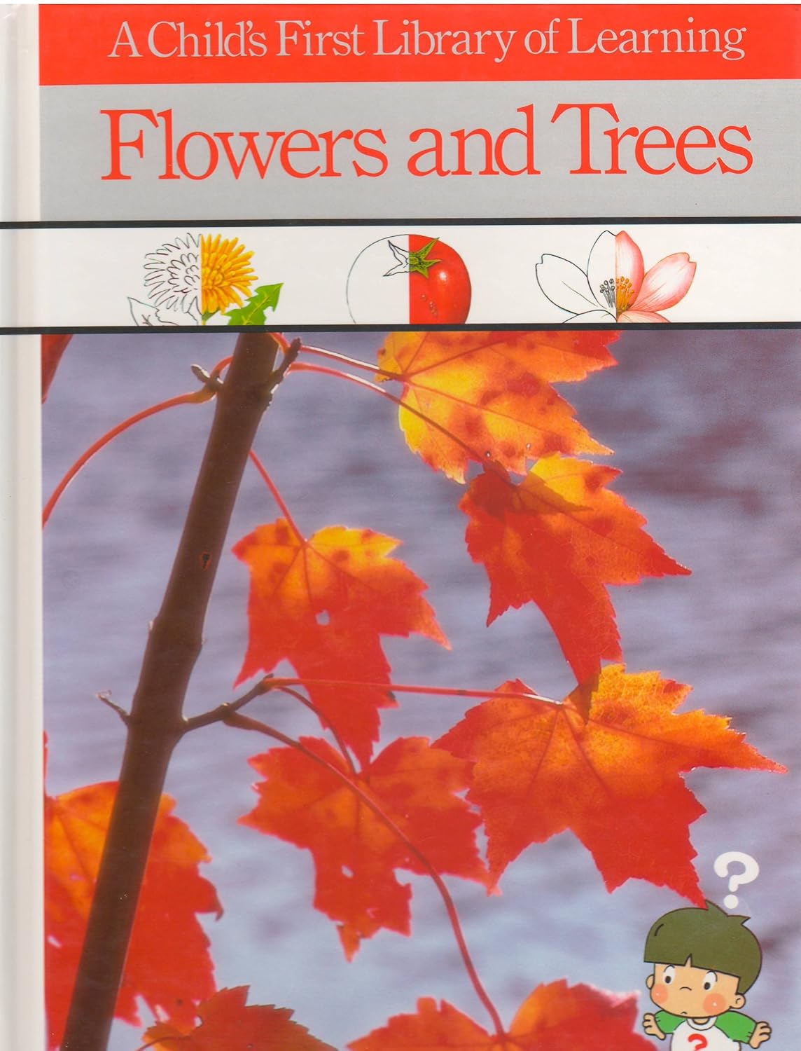 Buy Flowers and Trees (Child's First Library of Learning S.) Book ...