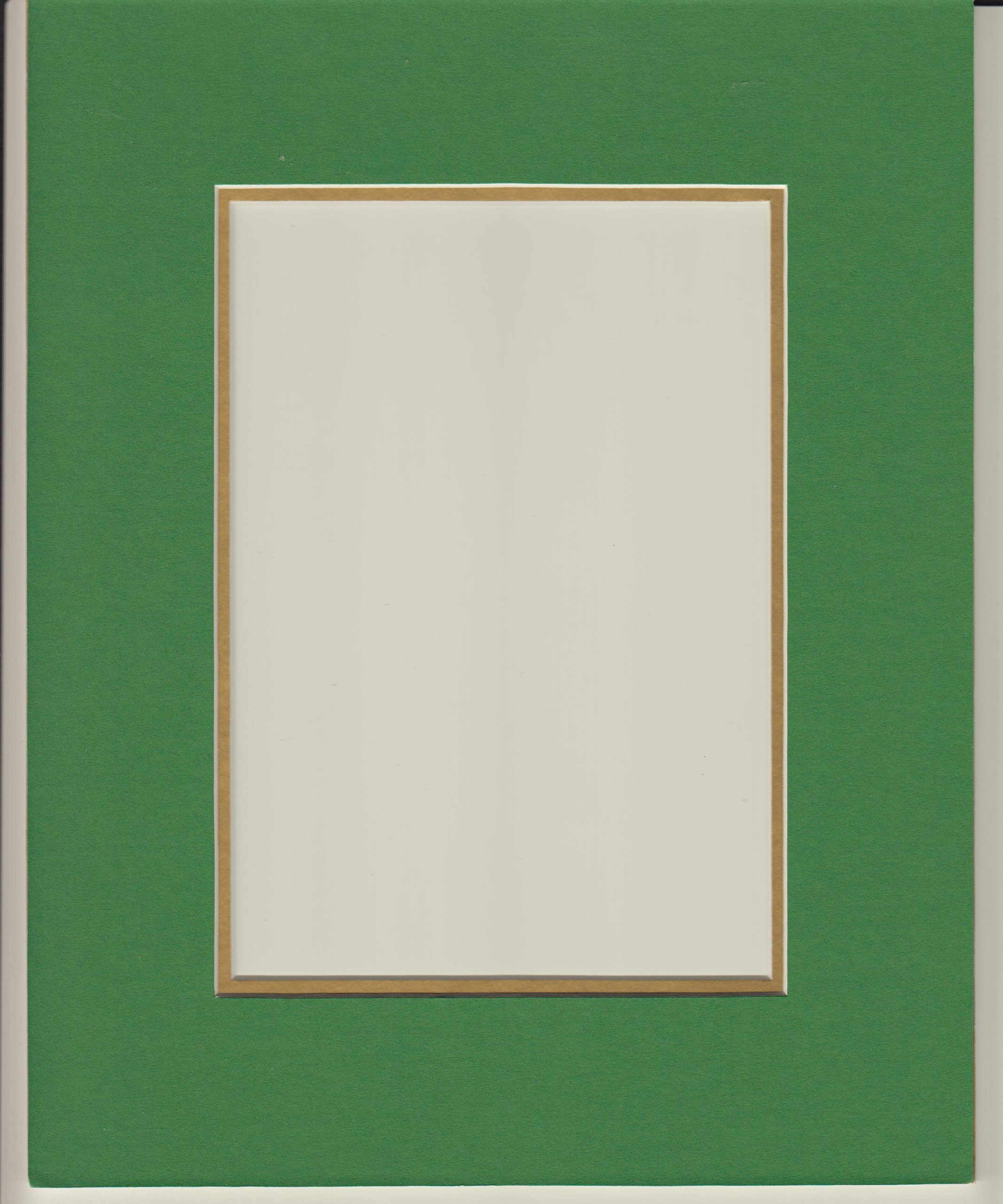 Amazon.com: Pack of 5 11x14 Bright Green & Gold Double Picture Mats Cut ...
