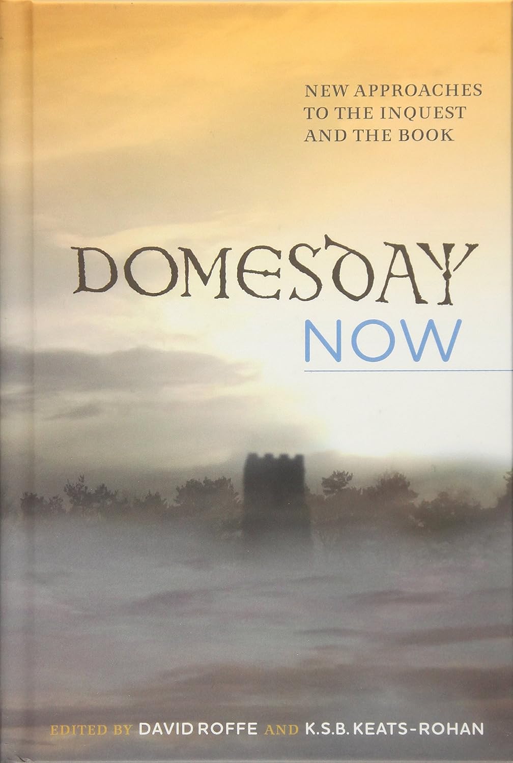 Domesday Now: New Approaches to the Inquest and the Book: Roffe, David ...