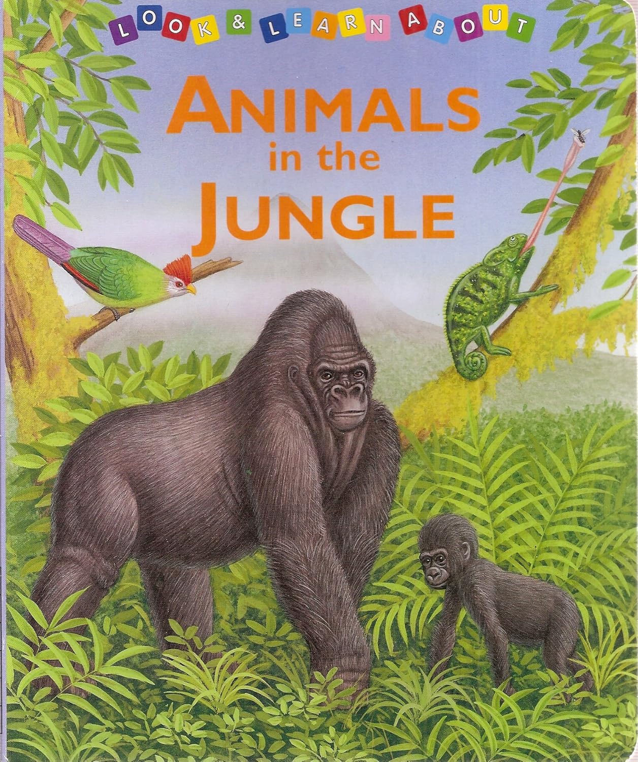 Animals in the Jungle (Look & Learn About): Unknown: 9781905279456 ...
