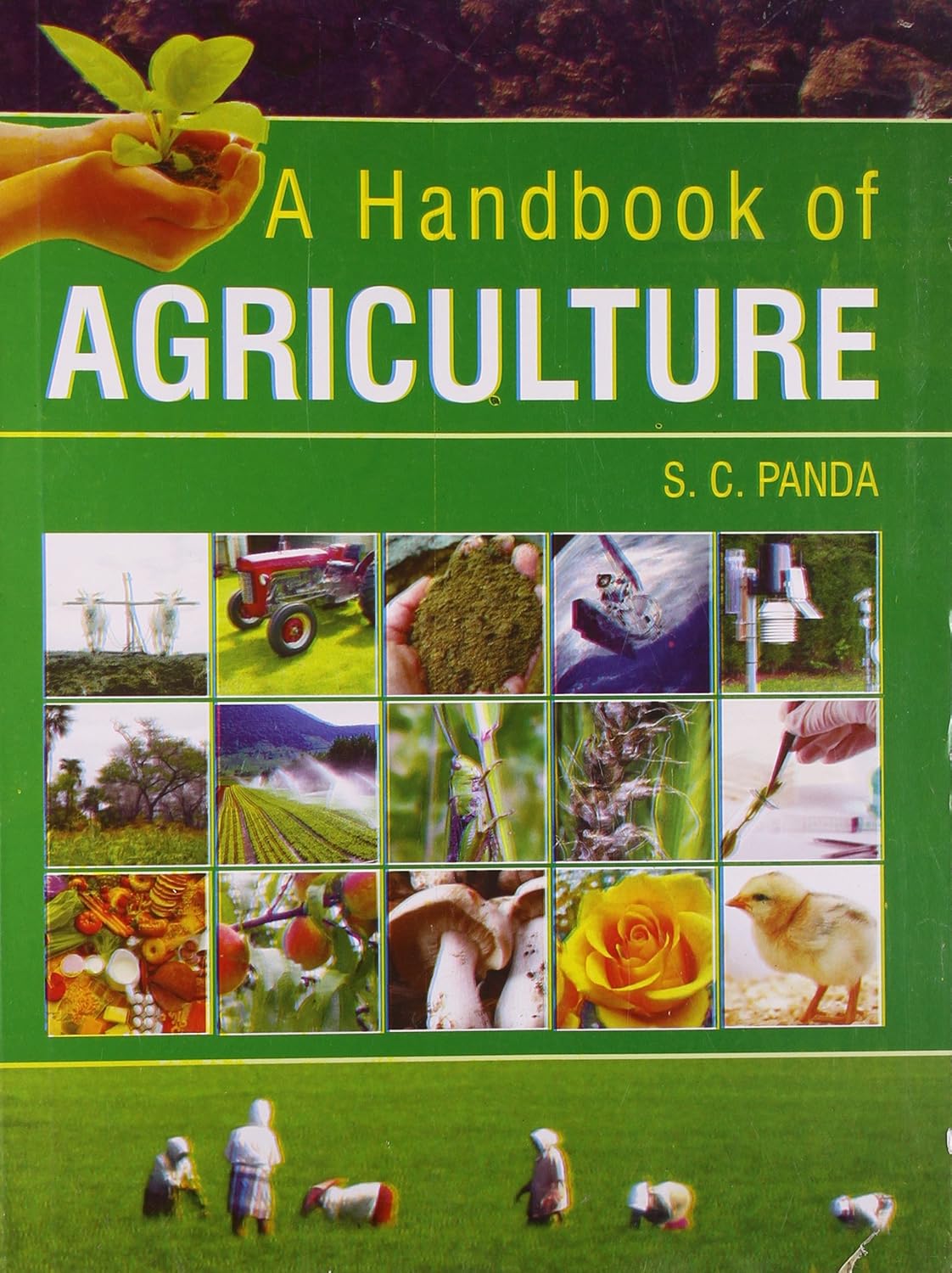 A Handbook of Agriculture: Panda SC: 9788177544848: Amazon.com: Books