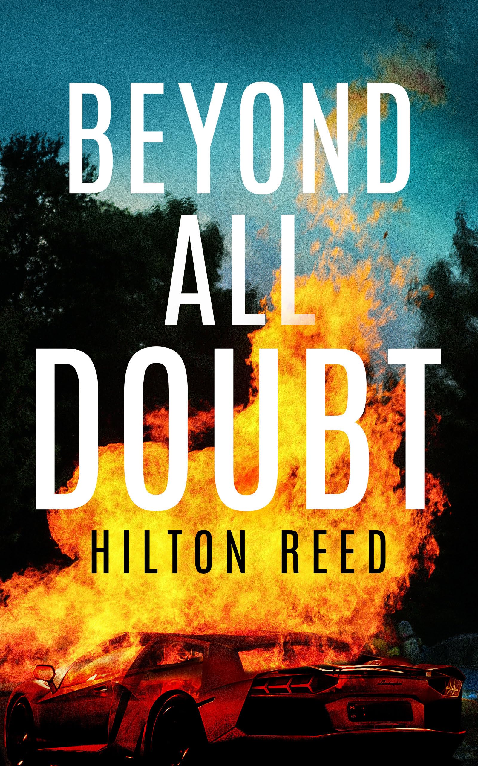 Amazon.com: Beyond All Doubt: A Novel: 9781639107018: Reed, Hilton: Books