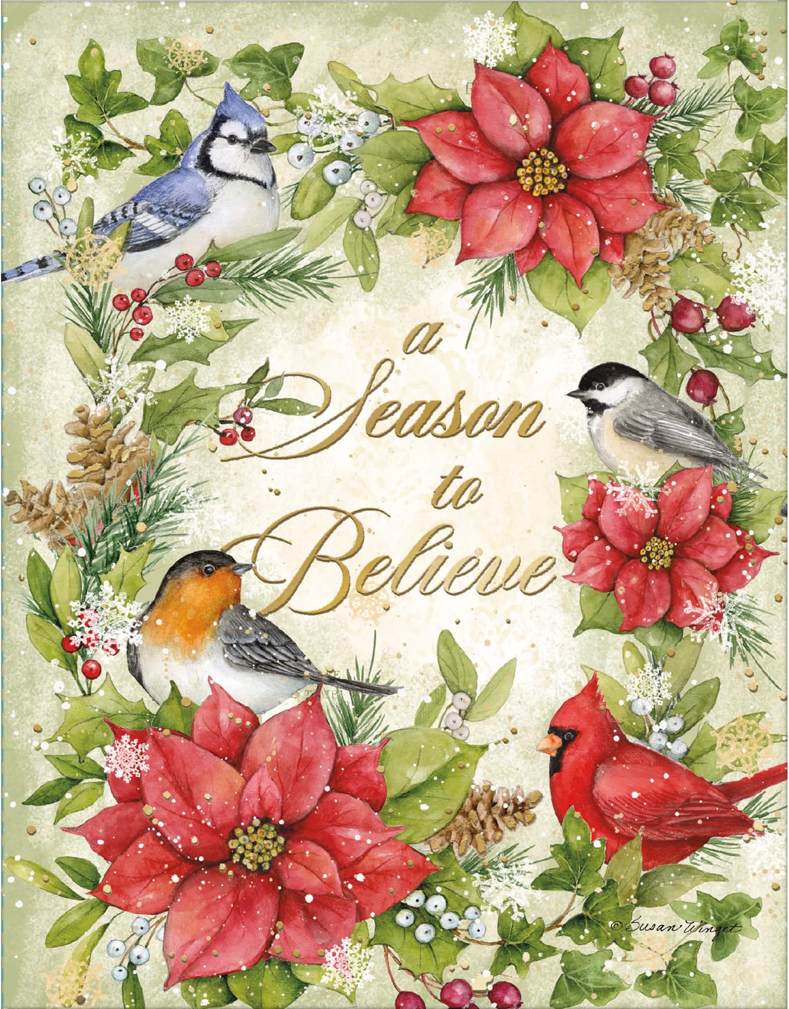 Amazon.com : LANG "Season To Believe" Boxed Christmas Cards by Susan ...