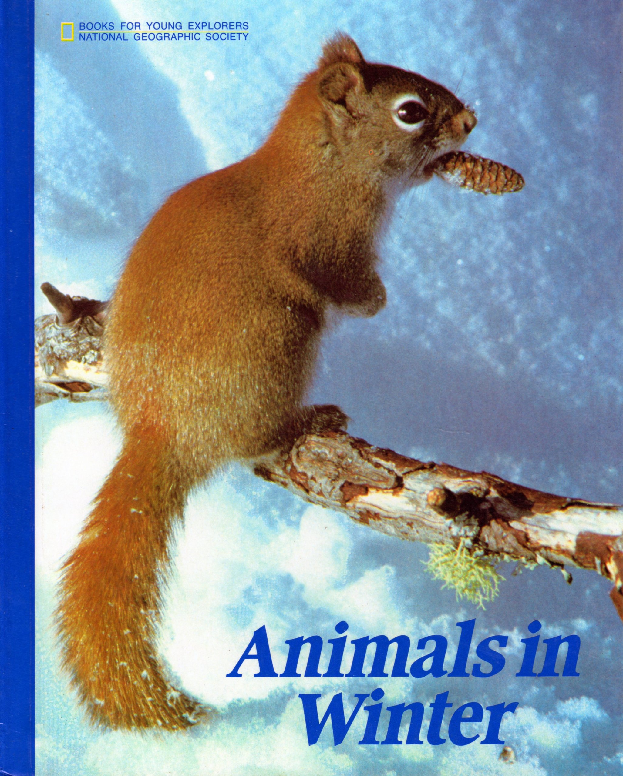 Animals in winter (Books for young explorers): Fisher, Ronald M ...