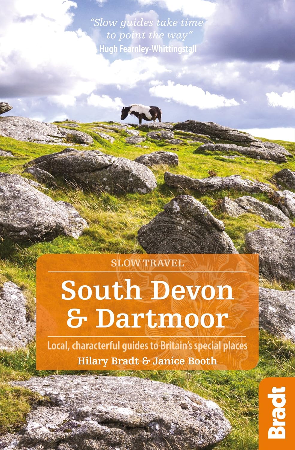 Amazon.com: South Devon & Dartmoor: Local, characterful guides to ...