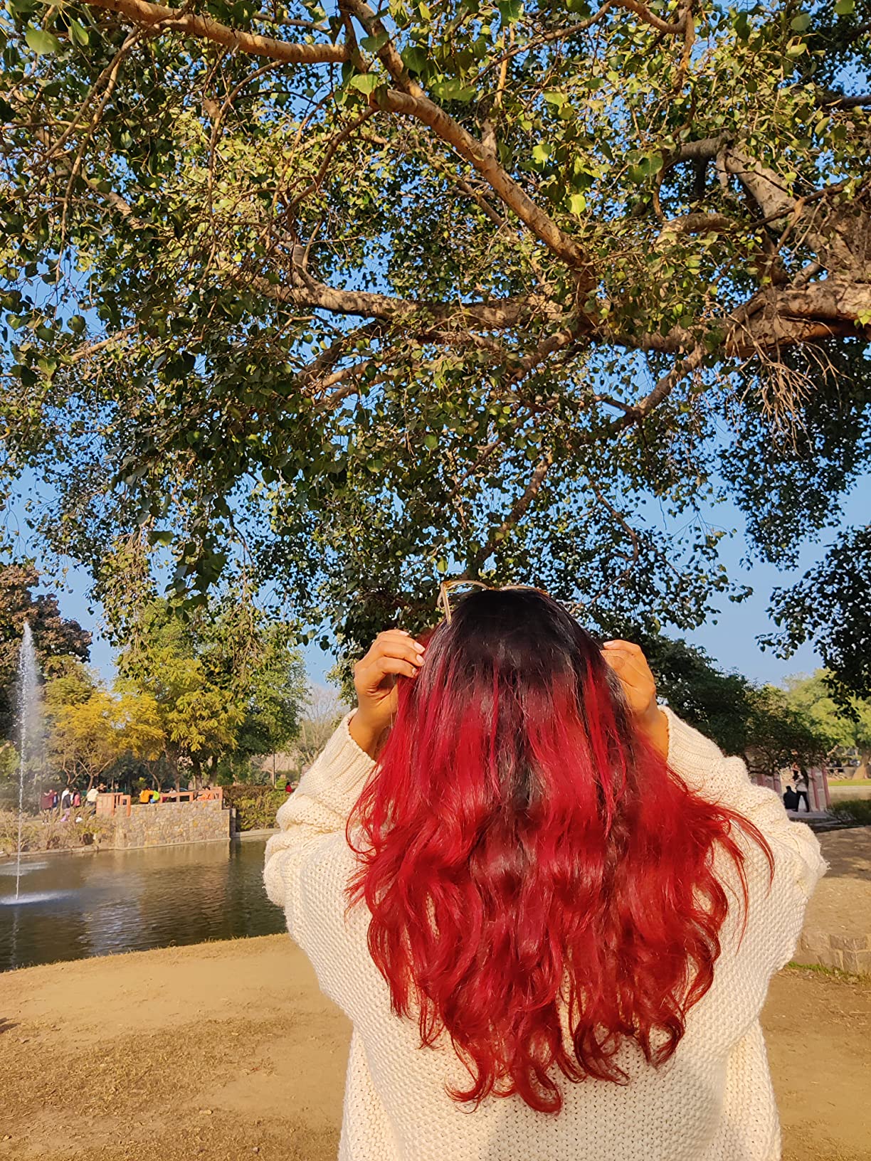 Streax Professional Hold & Play Funky Colours, Hair Color, 100g ...