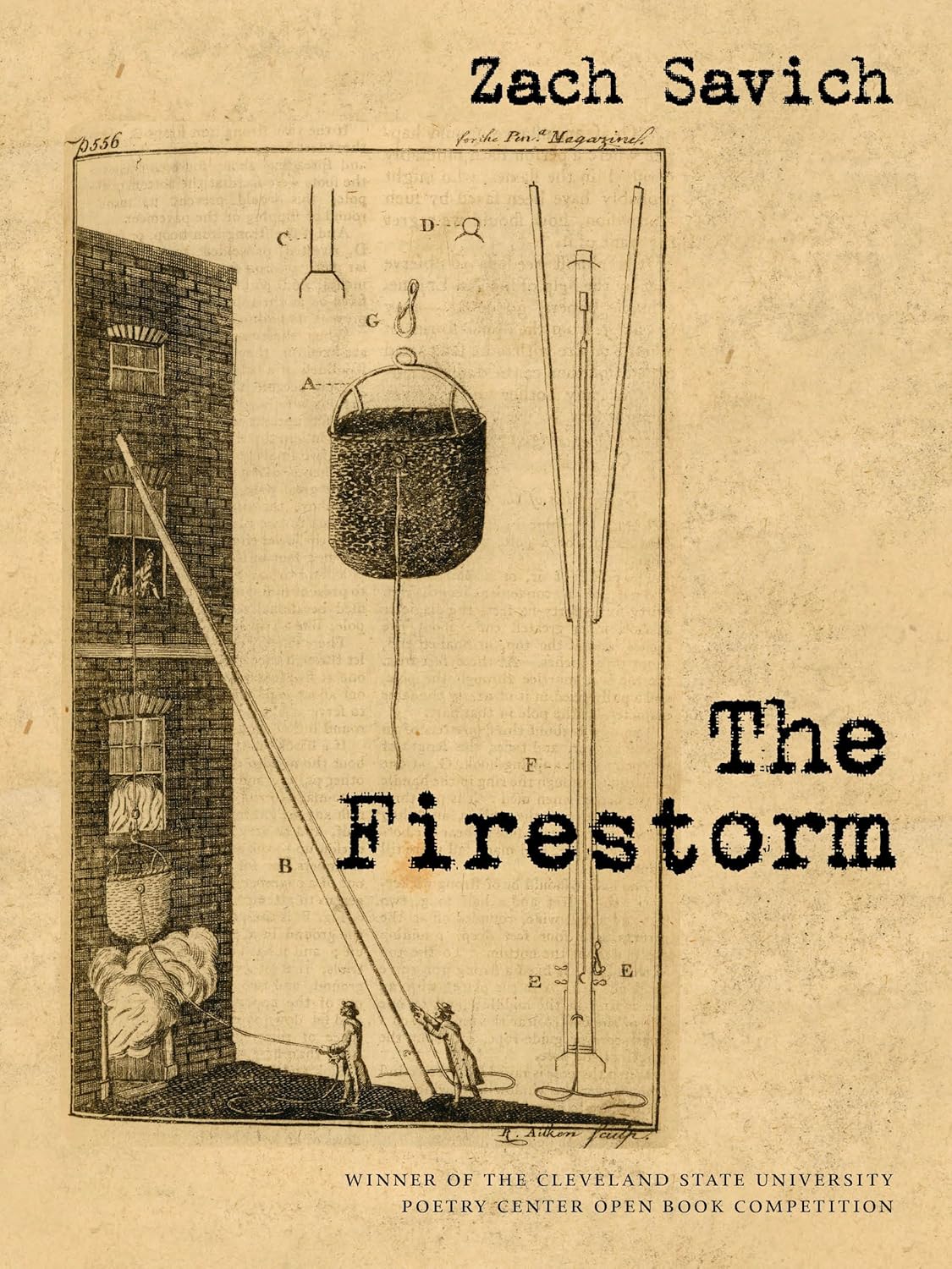 The Firestorm: Savich, Zach: 9781880834954: Amazon.com: Books