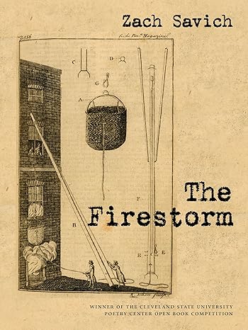 The Firestorm: Savich, Zach: 9781880834954: Amazon.com: Books