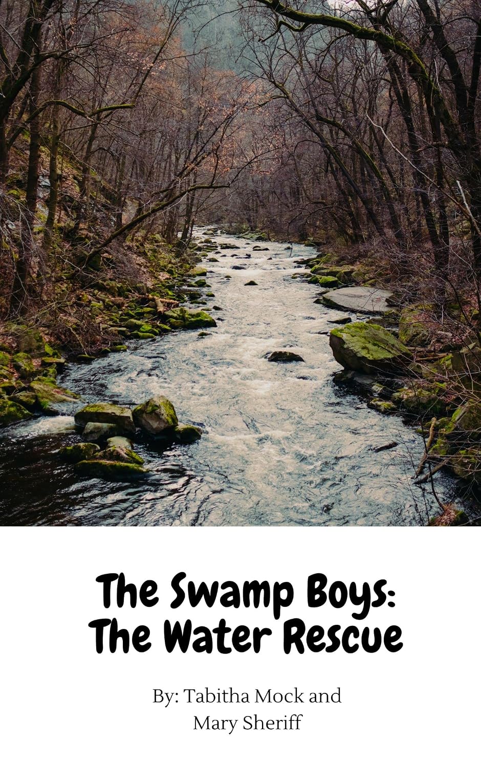 The Water Rescue (The Swamp Boys) eBook : Mock, Tabitha, Sheriff, Mary ...