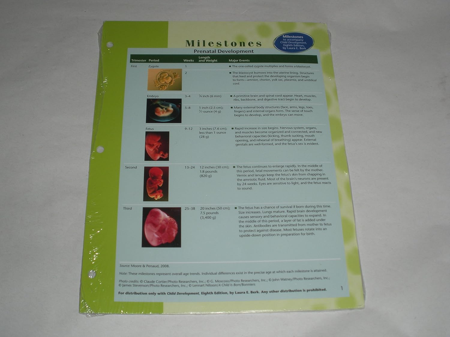 Child Development Milestones Card: 9780205626748: Amazon.com: Books