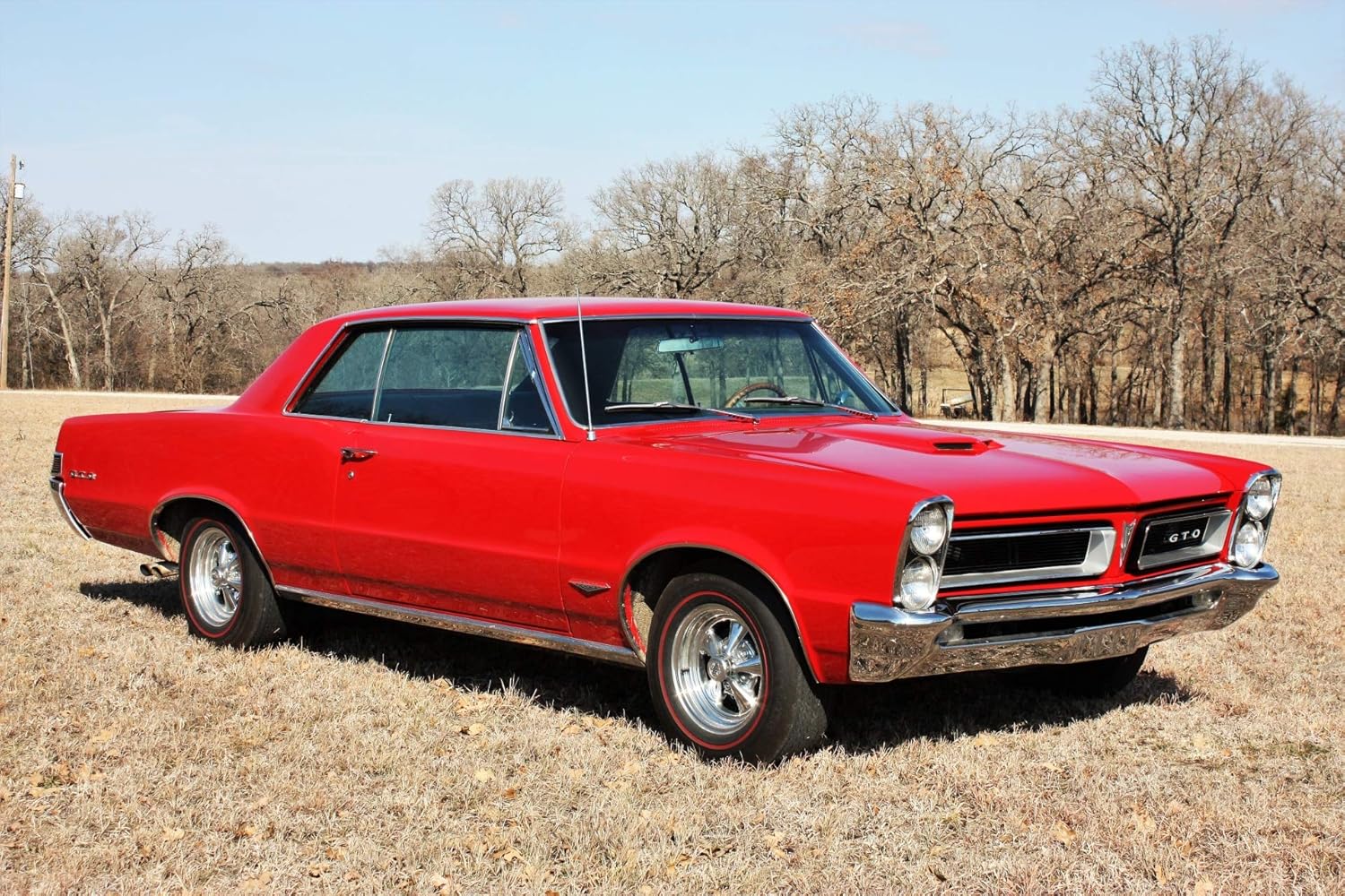 Amazon.com: Iconic Arts Vintage 1965 Red Pontiac GTO Car Laminated ...