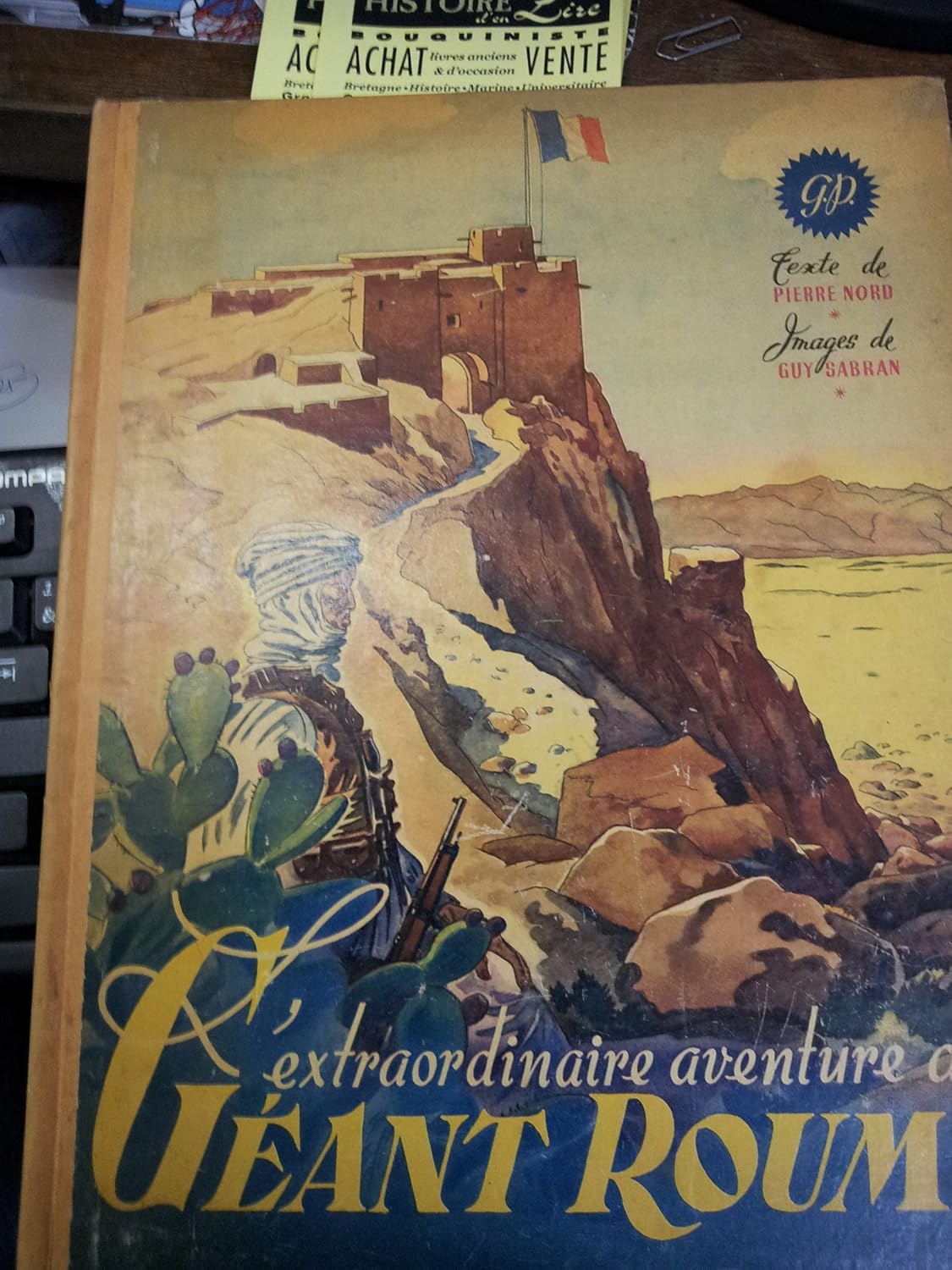 Amazon.fr - L'extraordinaire aventure du Géant Roumi - Sabran Guy Nord ...
