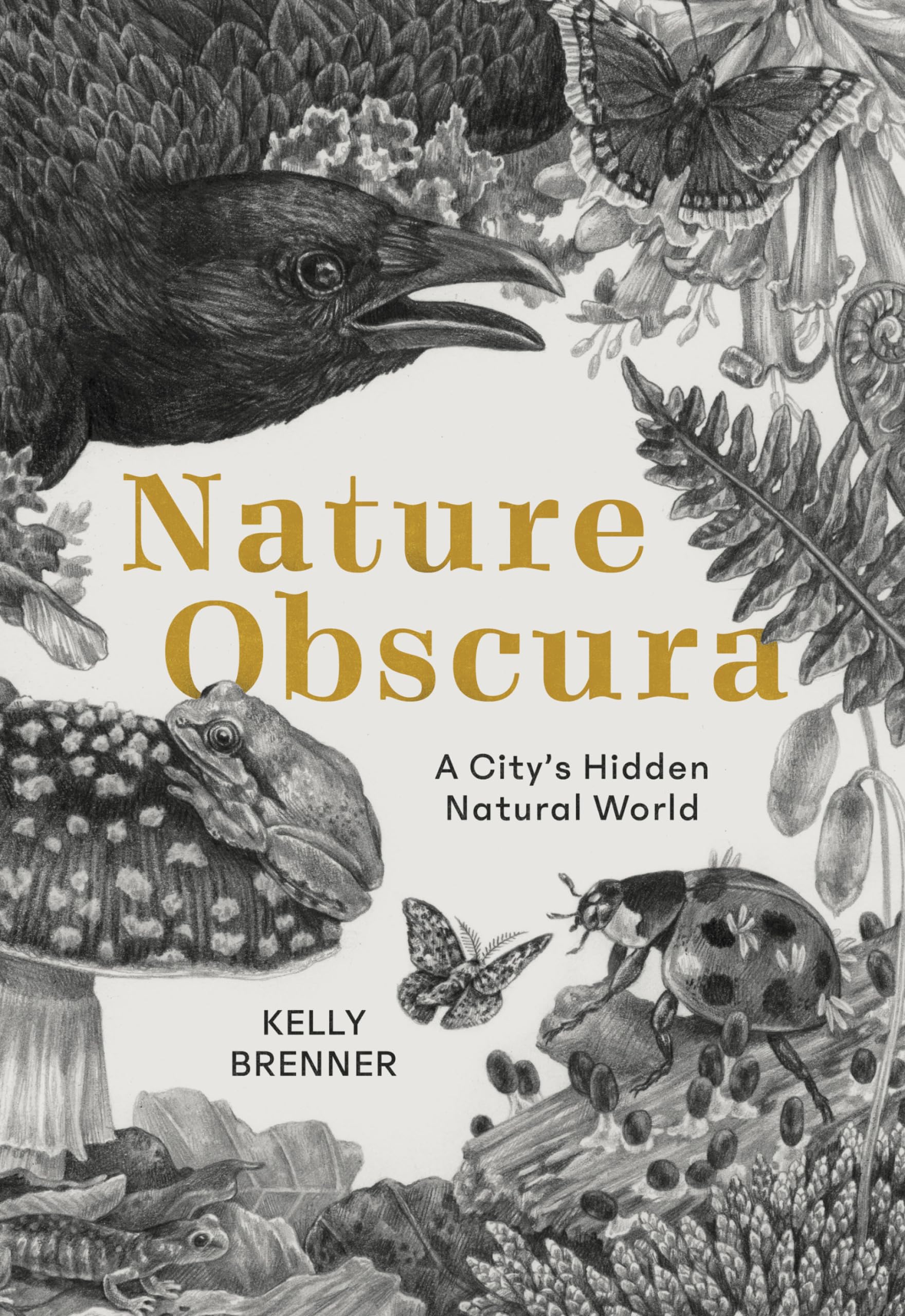 Nature Obscura: A City's Hidden Natural World: Brenner, Kelly ...