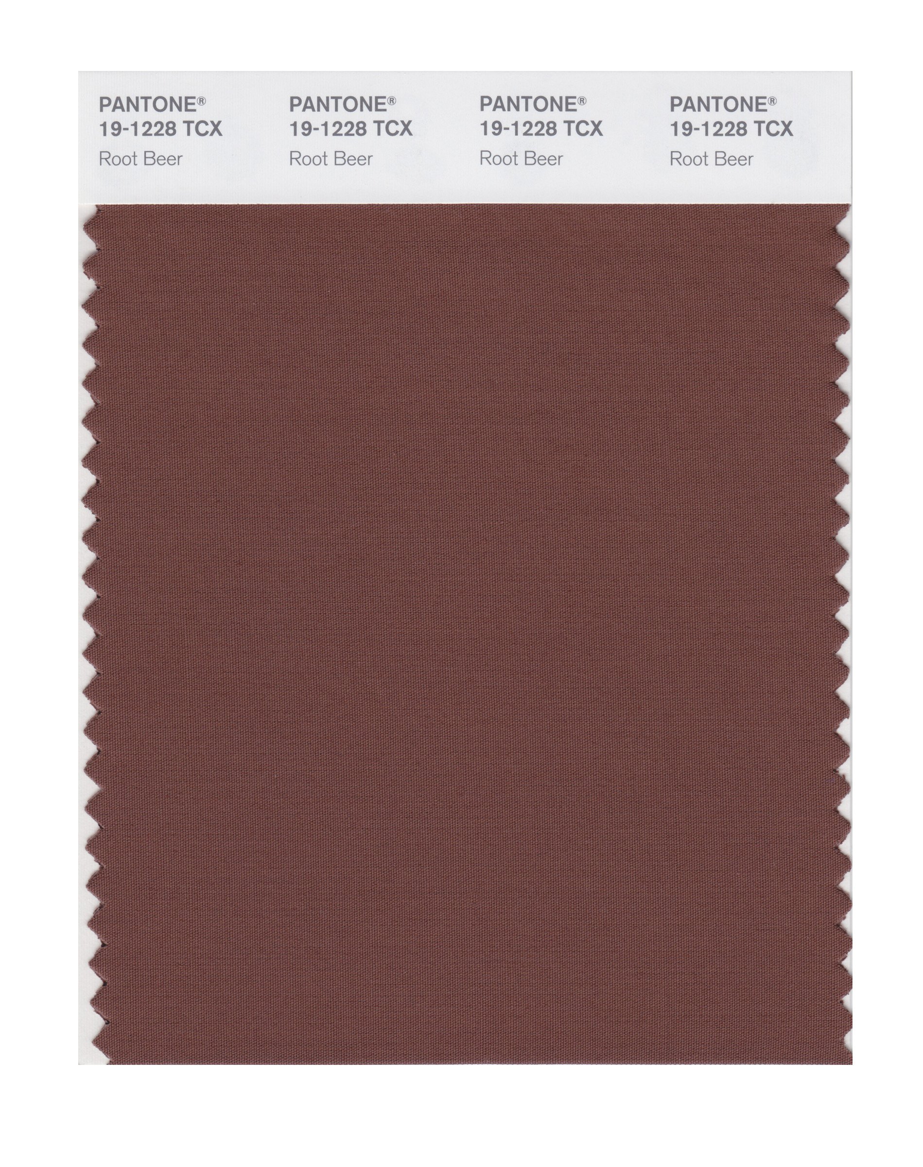 Buy PANTONE Smart 19-1228X Color Swatch Card, Root Online at ...