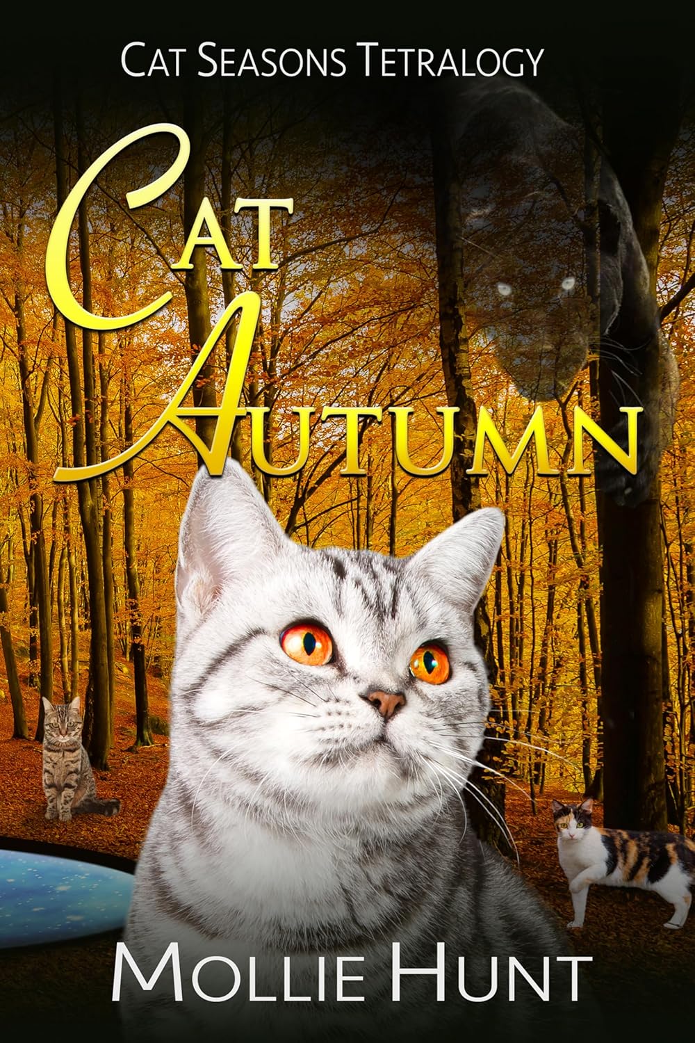 Amazon.com: Cat Autumn (The Cat Seasons Tetralogy) eBook : Hunt, Mollie ...