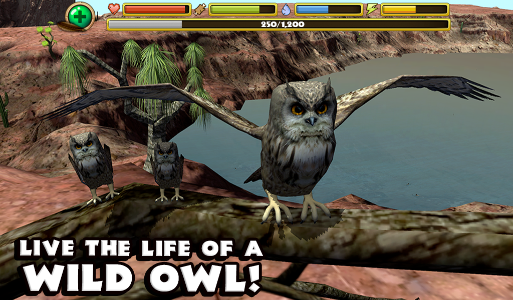Owl Simulator - App on Amazon Appstore