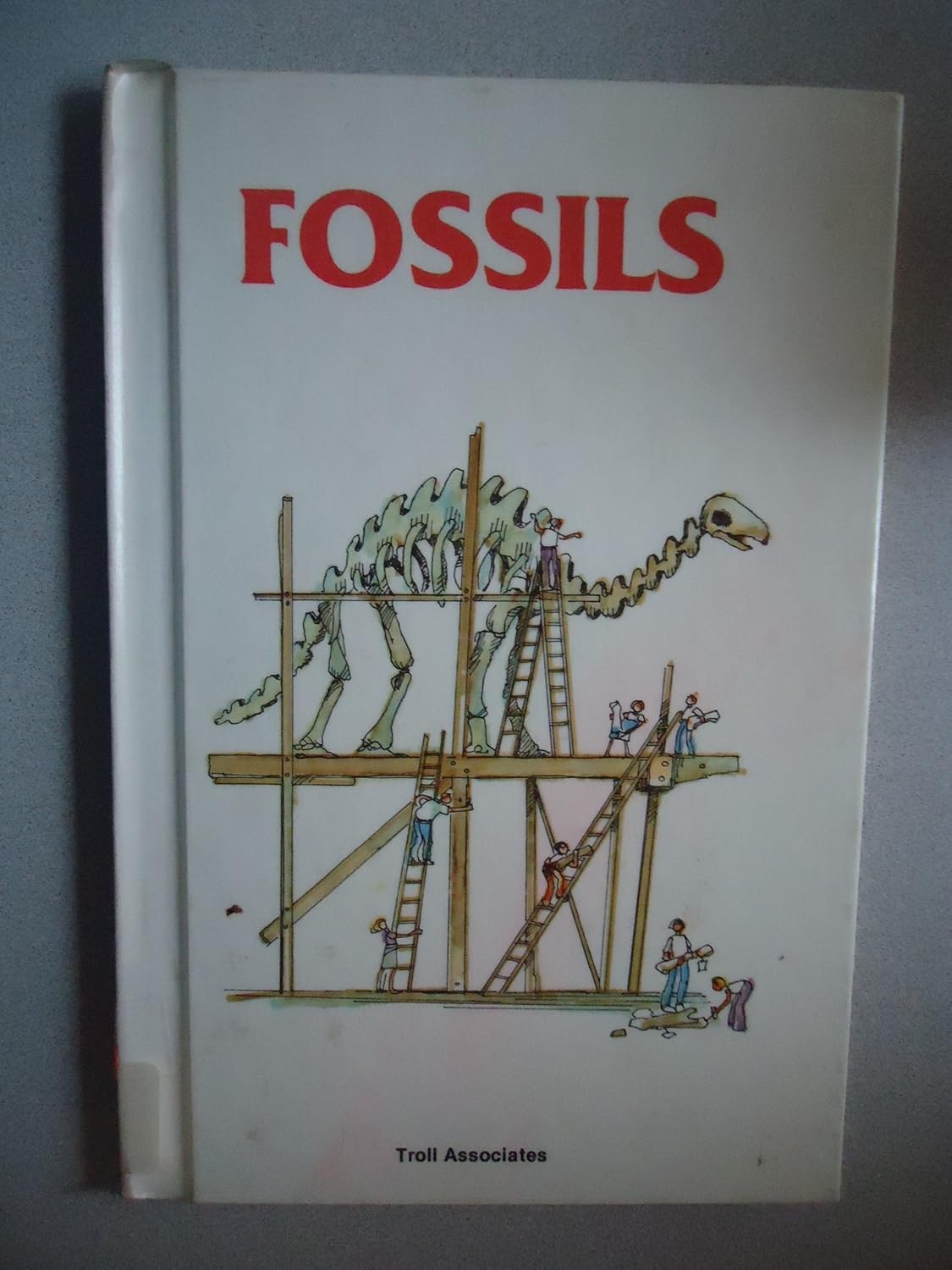 Amazon | Fossils | Sabin, Louis | Children's Books