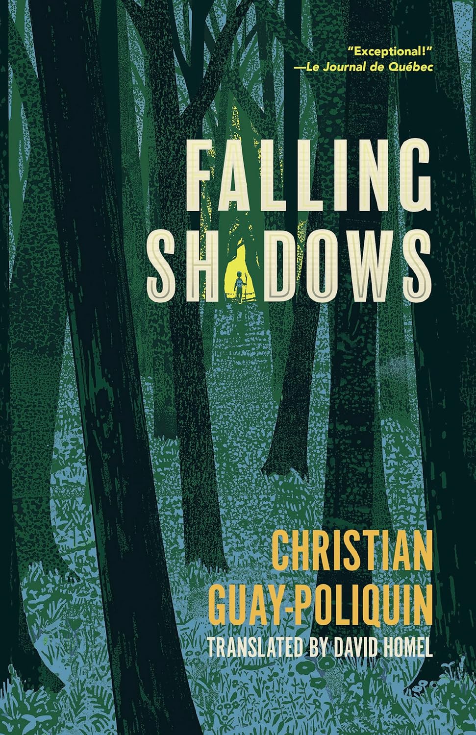 Amazon.com: Falling Shadows: 9781772014518: Guay-Poliquin, Christian ...