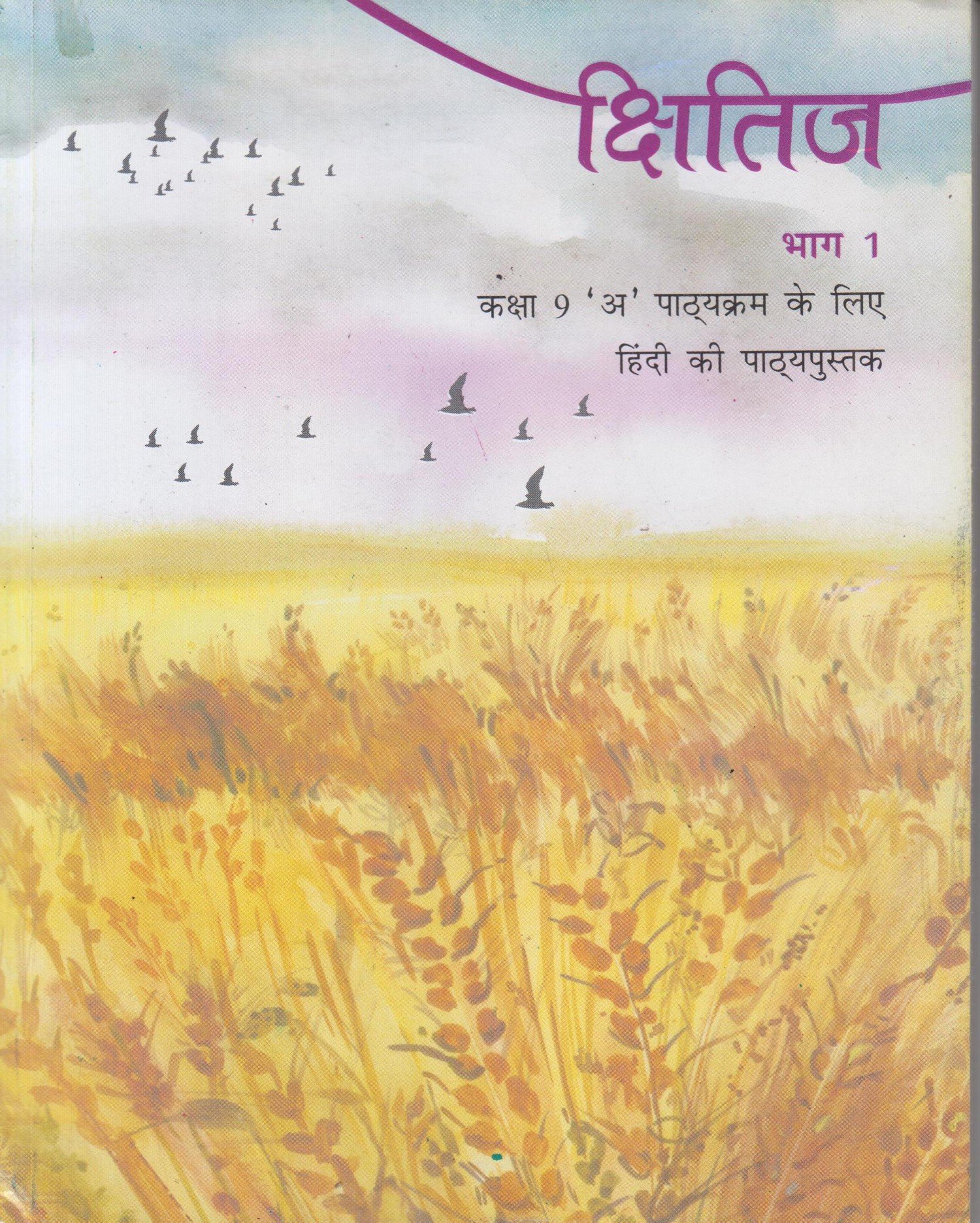 Kshitij For Class - 9 - 955 : NCERT: Amazon.in: Books