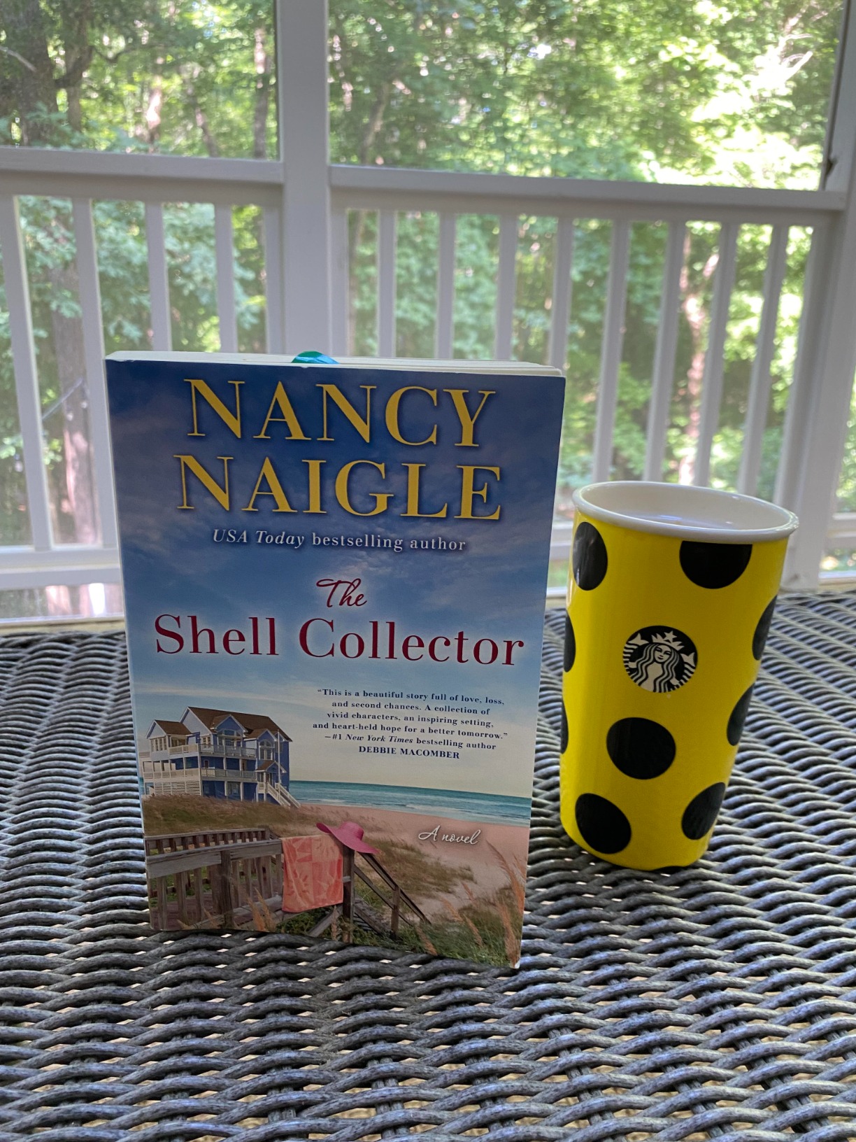 The Shell Collector (Thorndike Press Large Print Clean Reads): Naigle ...