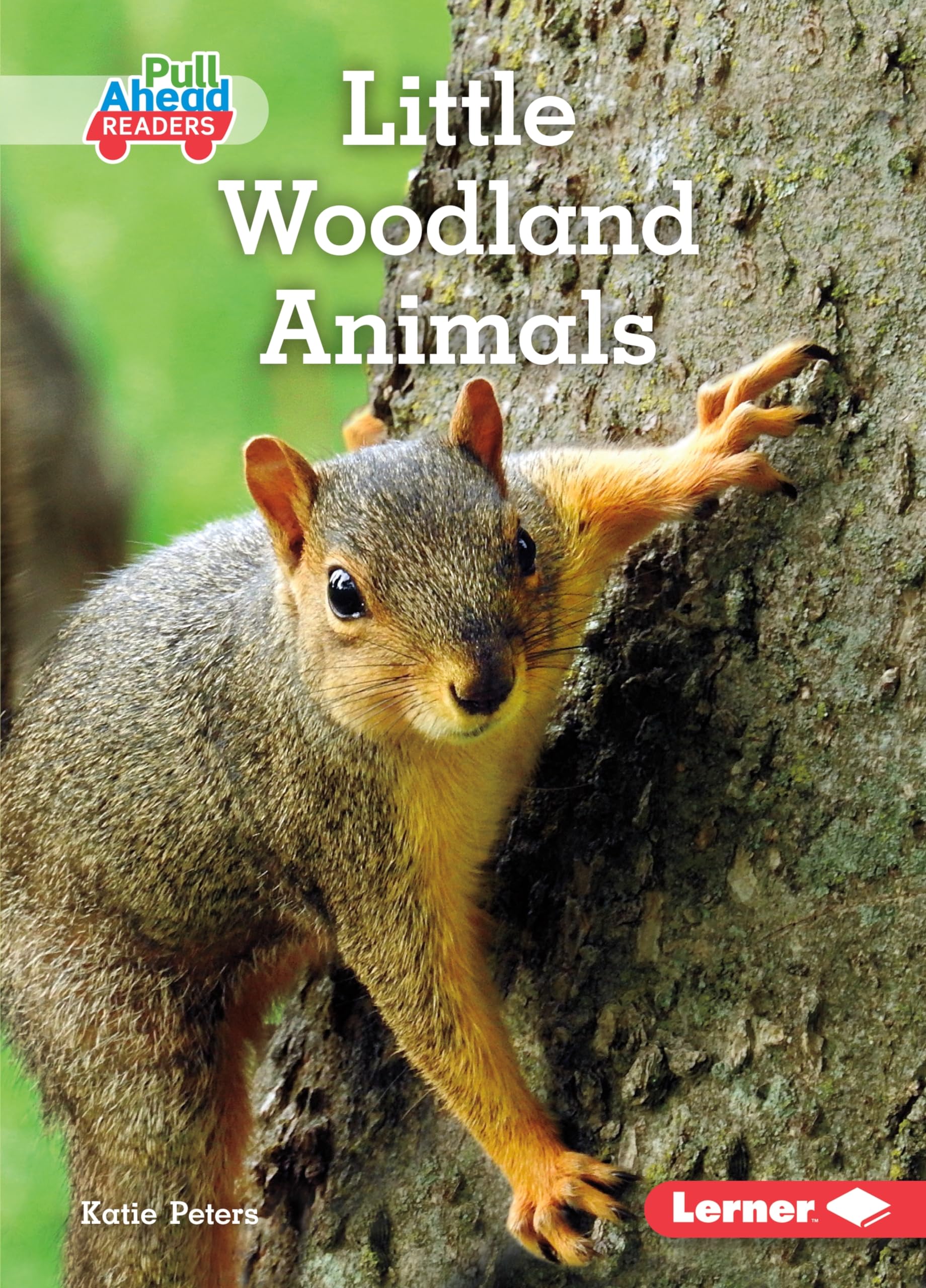 Amazon.com: Little Woodland Animals (Let's Look at Animal Habitats ...