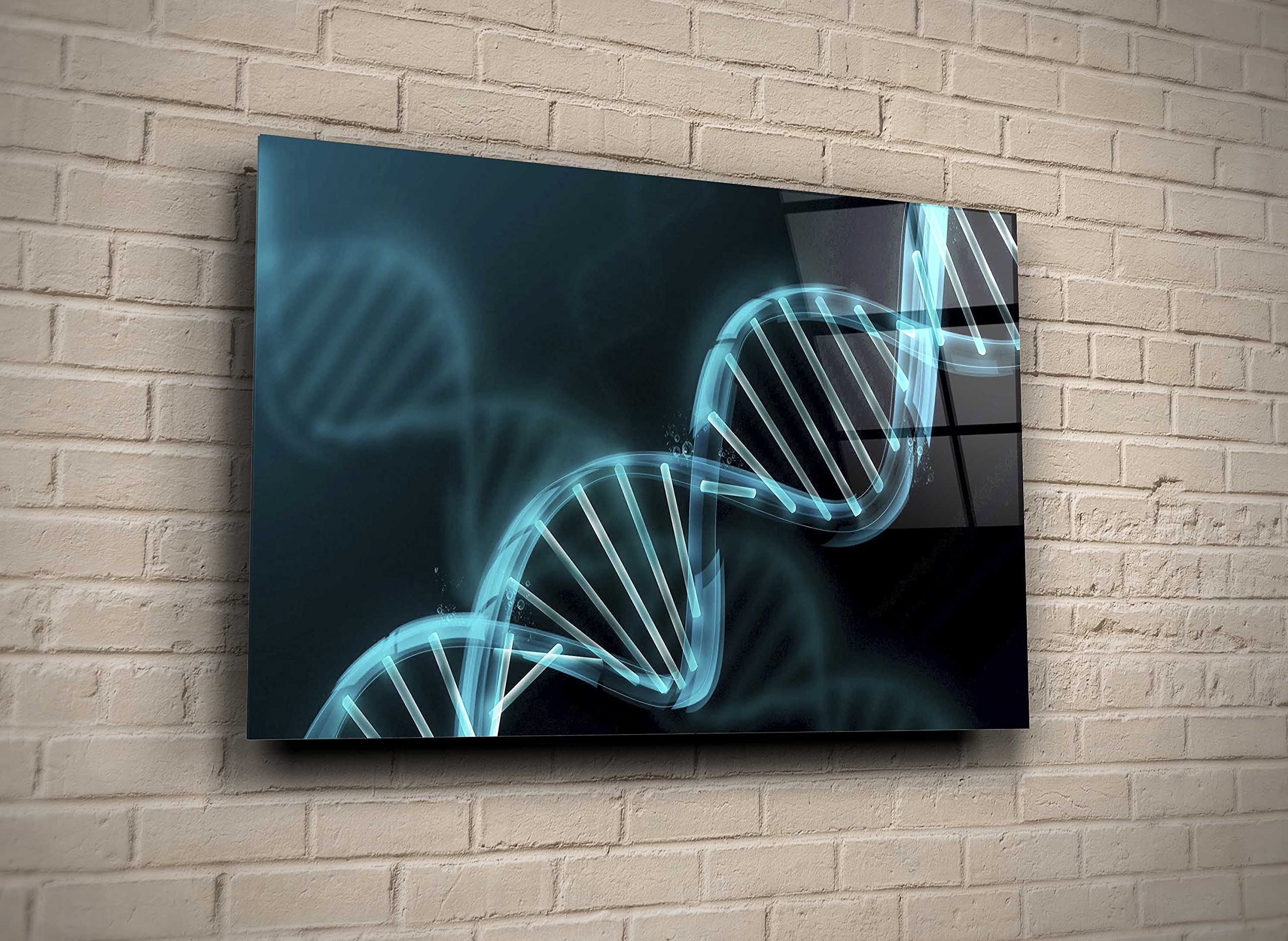 Microbiology Wall Art