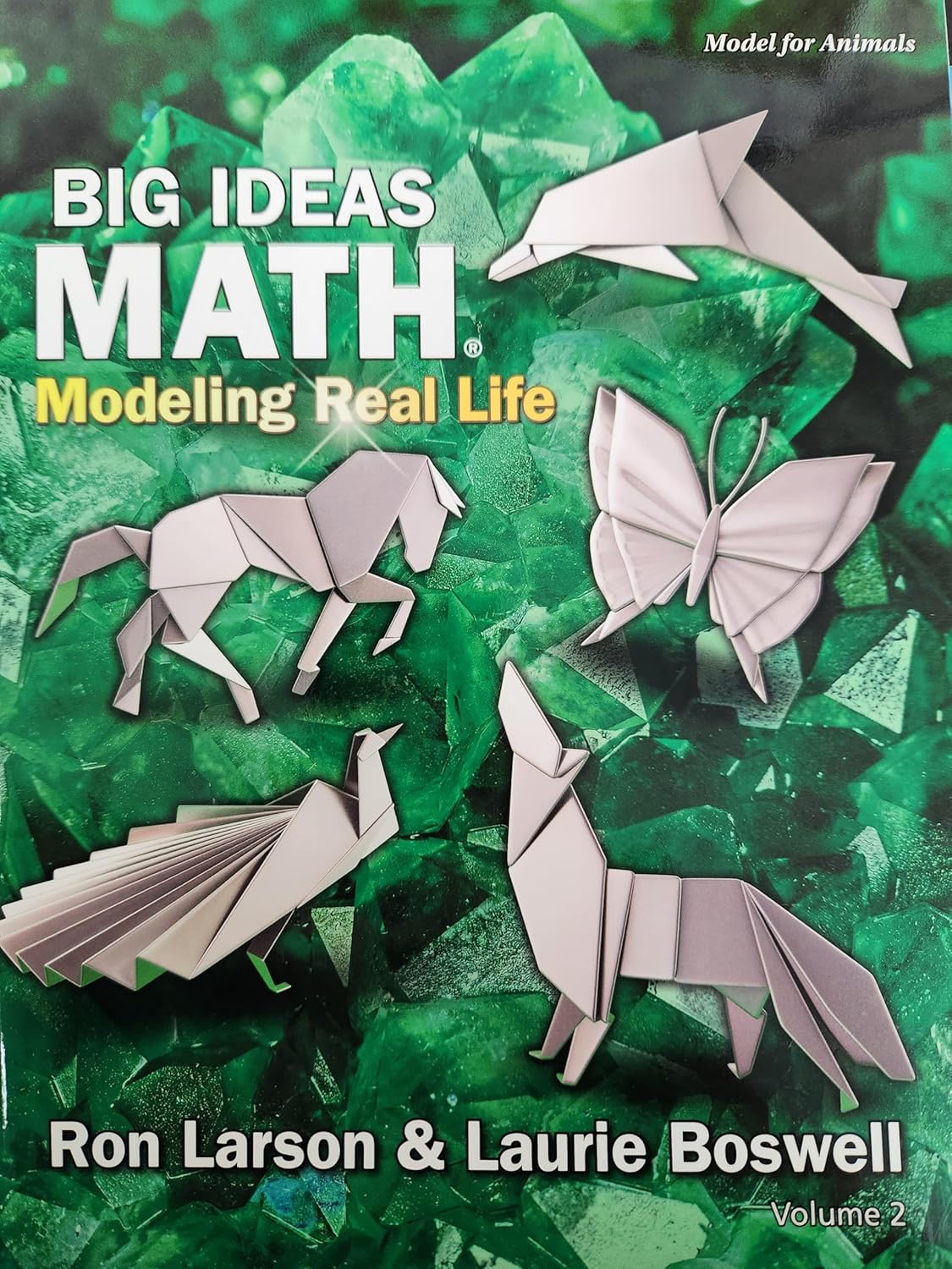 Amazon.com: Big Ideas Math; Modeling Real Life, Student Edition Grade 3 ...