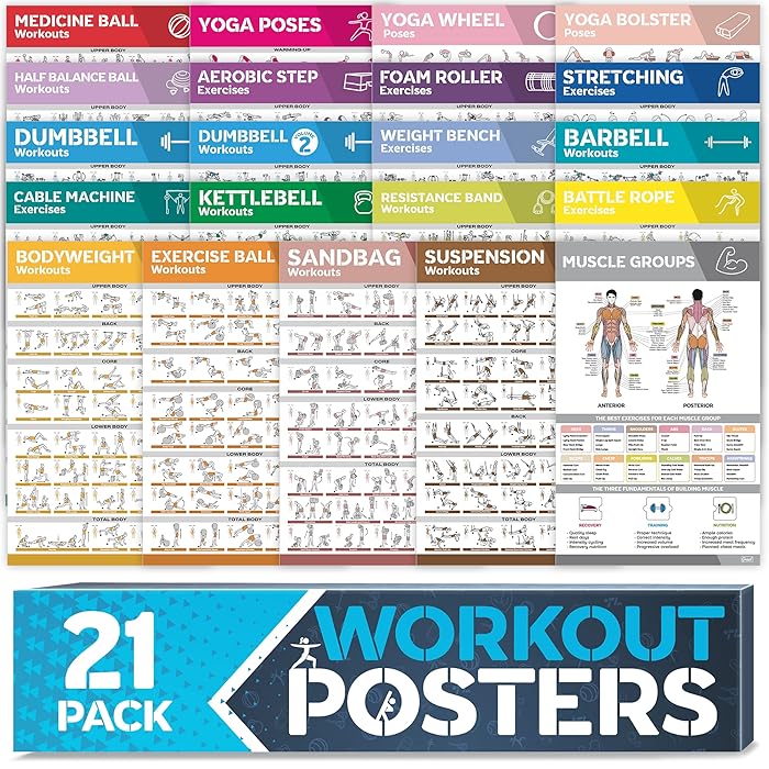 Buy [21-PACK] Laminated Large Workout Poster Set - Perfect Workout ...
