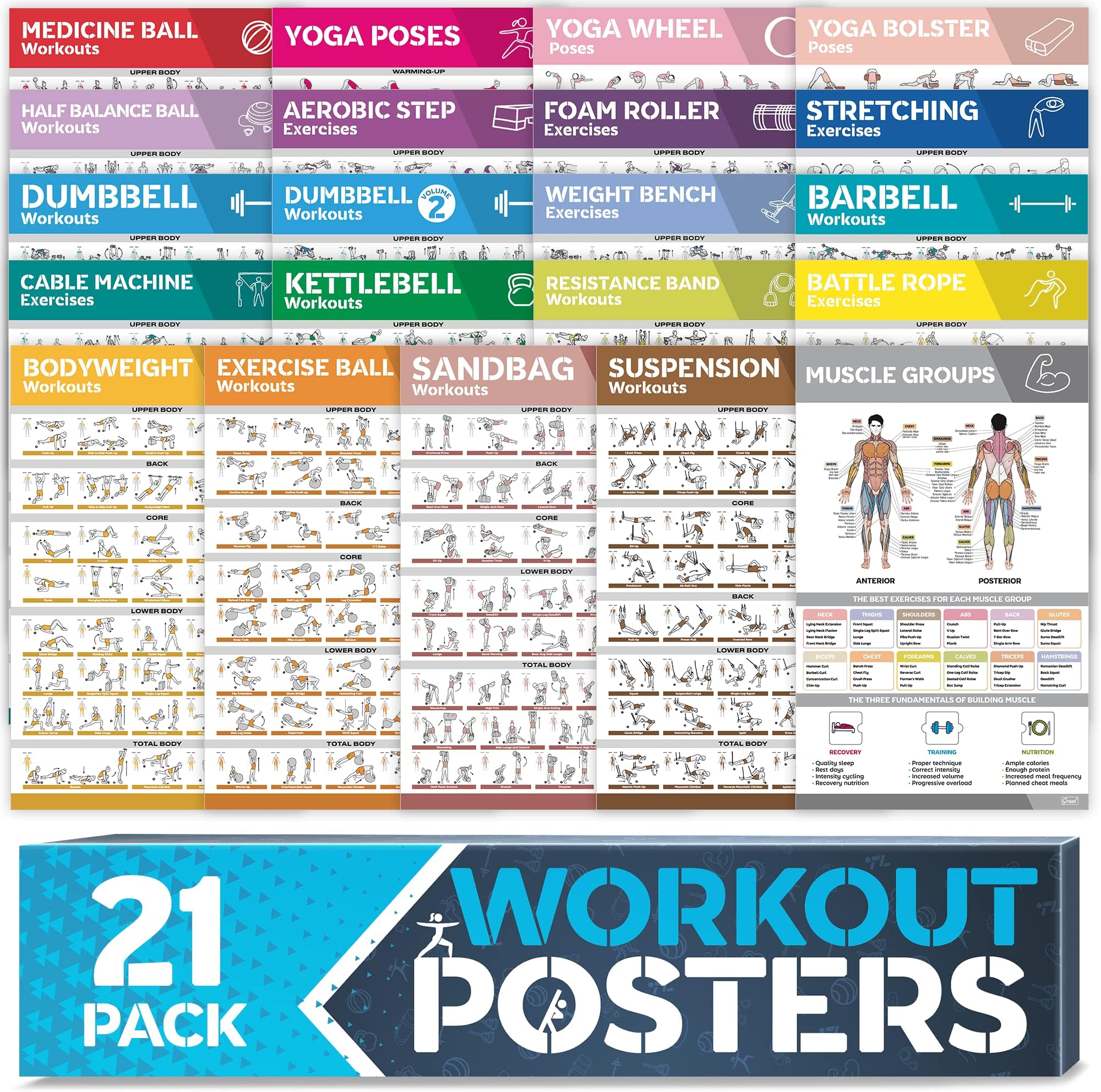 Vive Resistance Band Workout Poster - Laminated Bodyweight Hitt ...