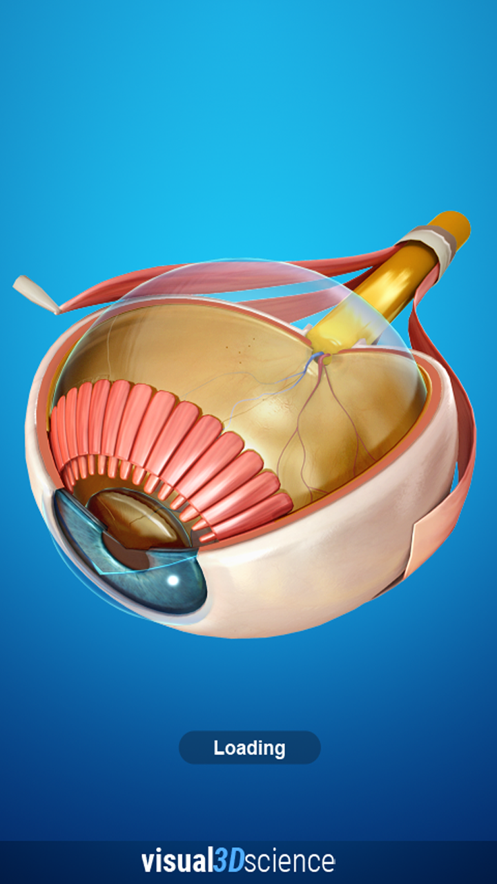 Eye Anatomy Pro. - App on Amazon Appstore