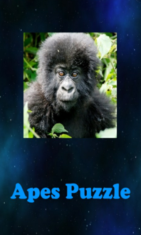 Apes Puzzle - App on Amazon Appstore