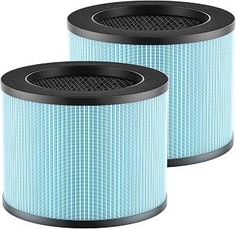 Amazon.com: 2-Pack F100 Filter Compatible with Instant AP100 Air ...