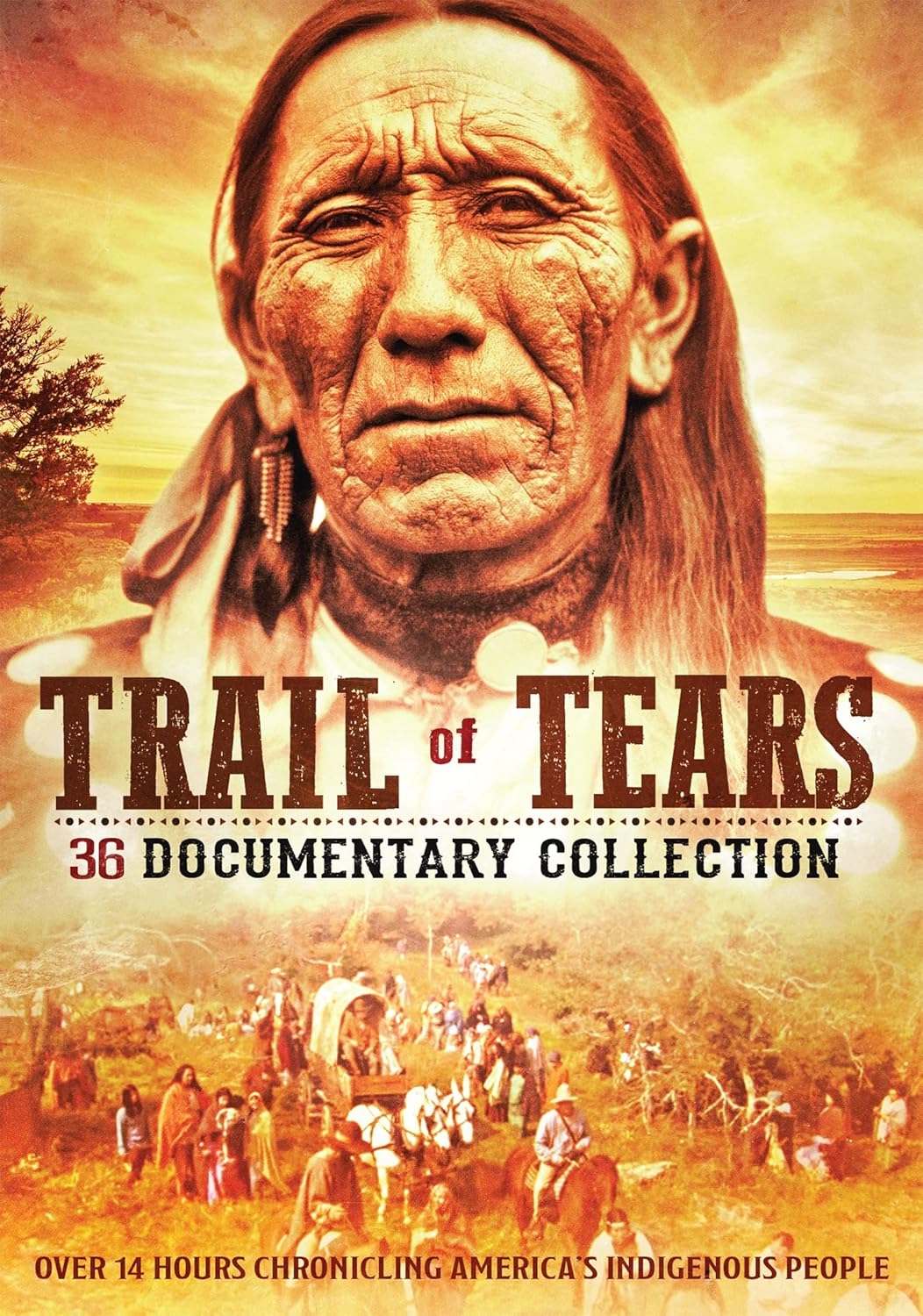 Amazon.com: Trail of Tears Collection : Native Americans, Various ...