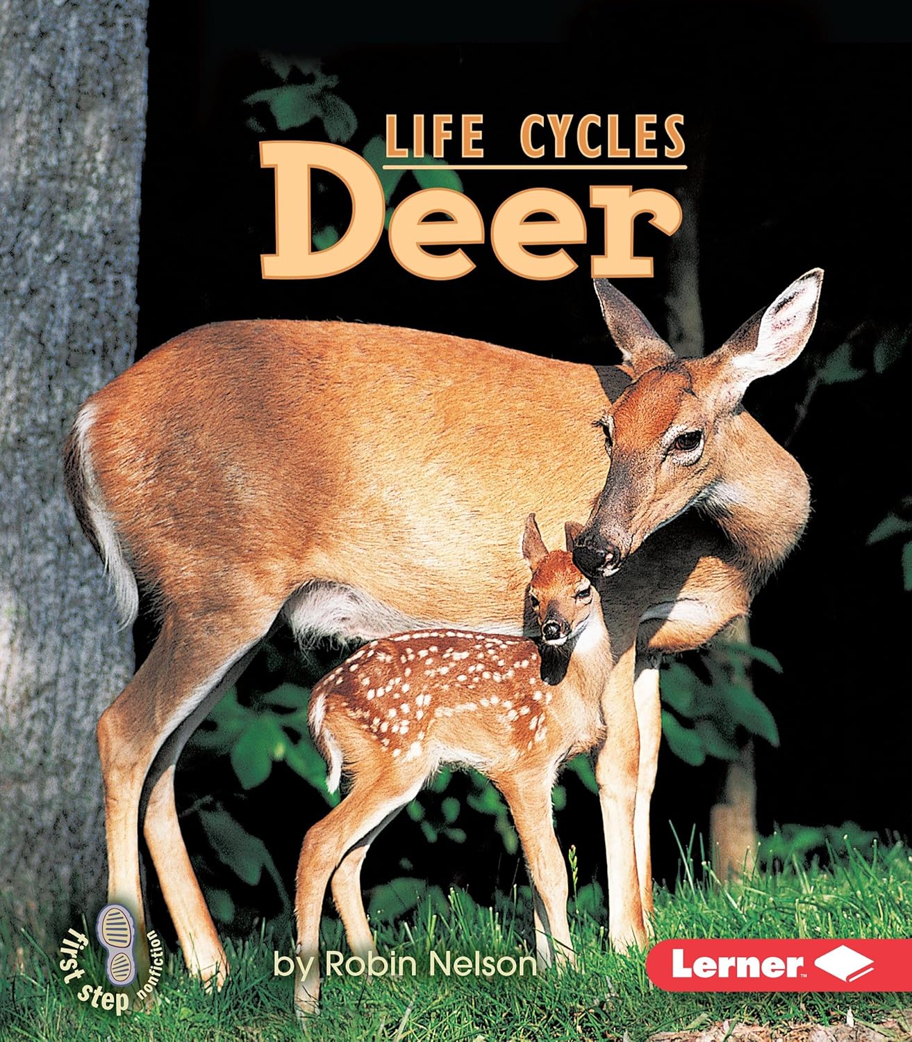 Amazon.com: Deer (First Step Nonfiction ― Animal Life Cycles ...