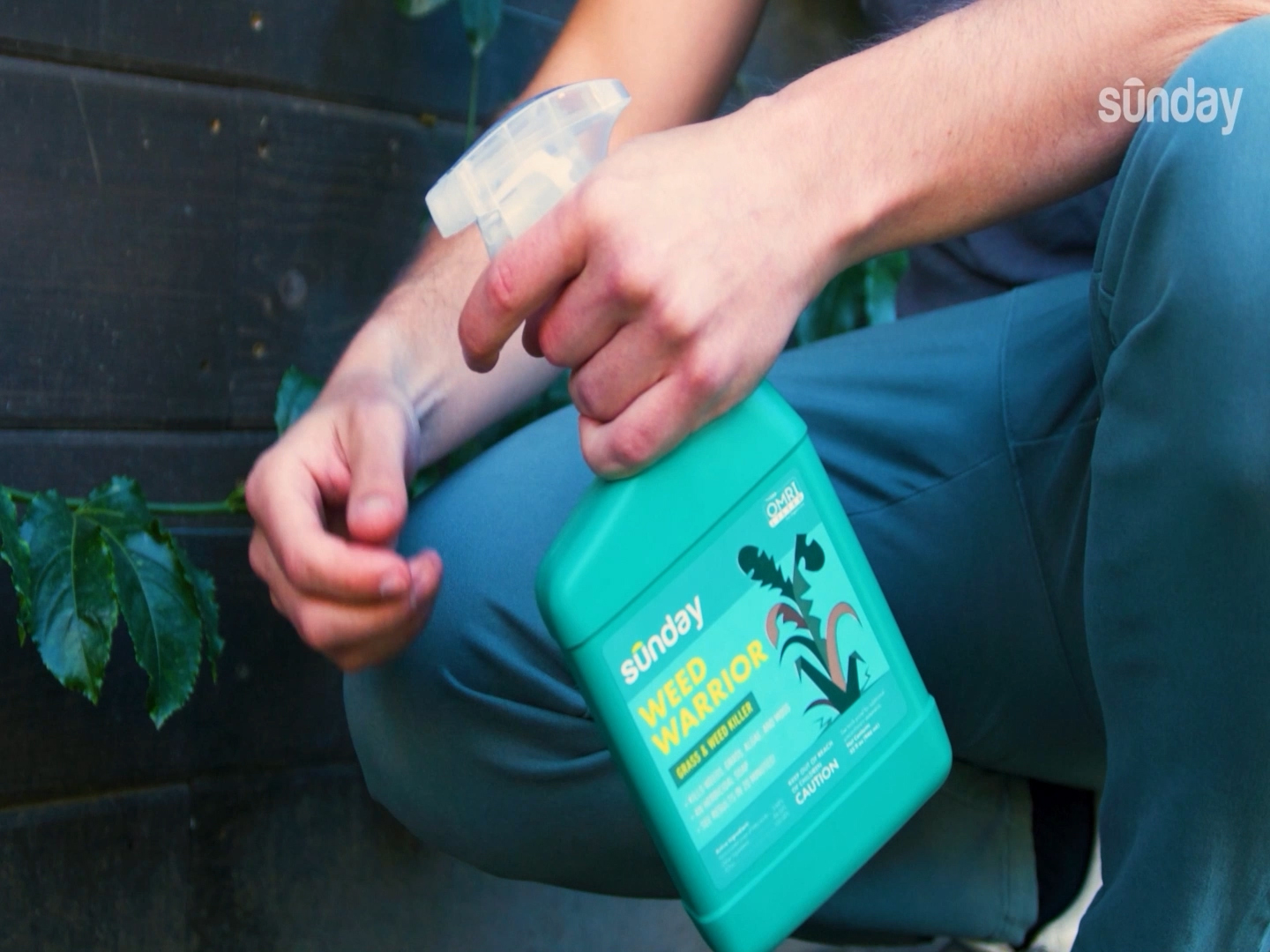 Watch How to apply your Sunday Weed Warrior on Amazon Live