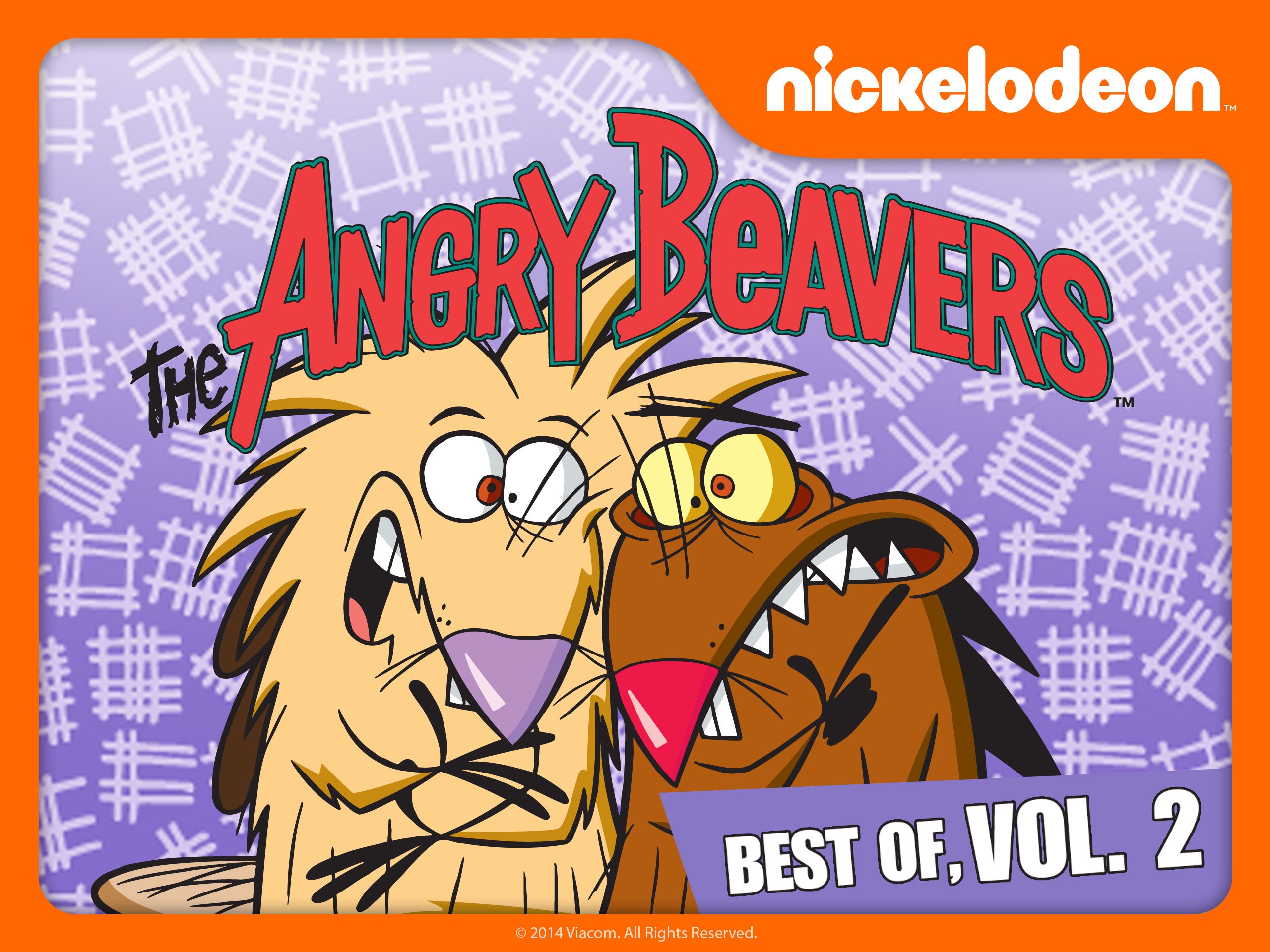 Angry Beavers Bear