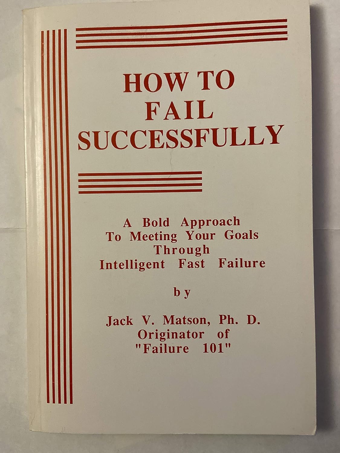 How to Fail Successfully: A Bold Approach to Meeting Your Goals Through ...