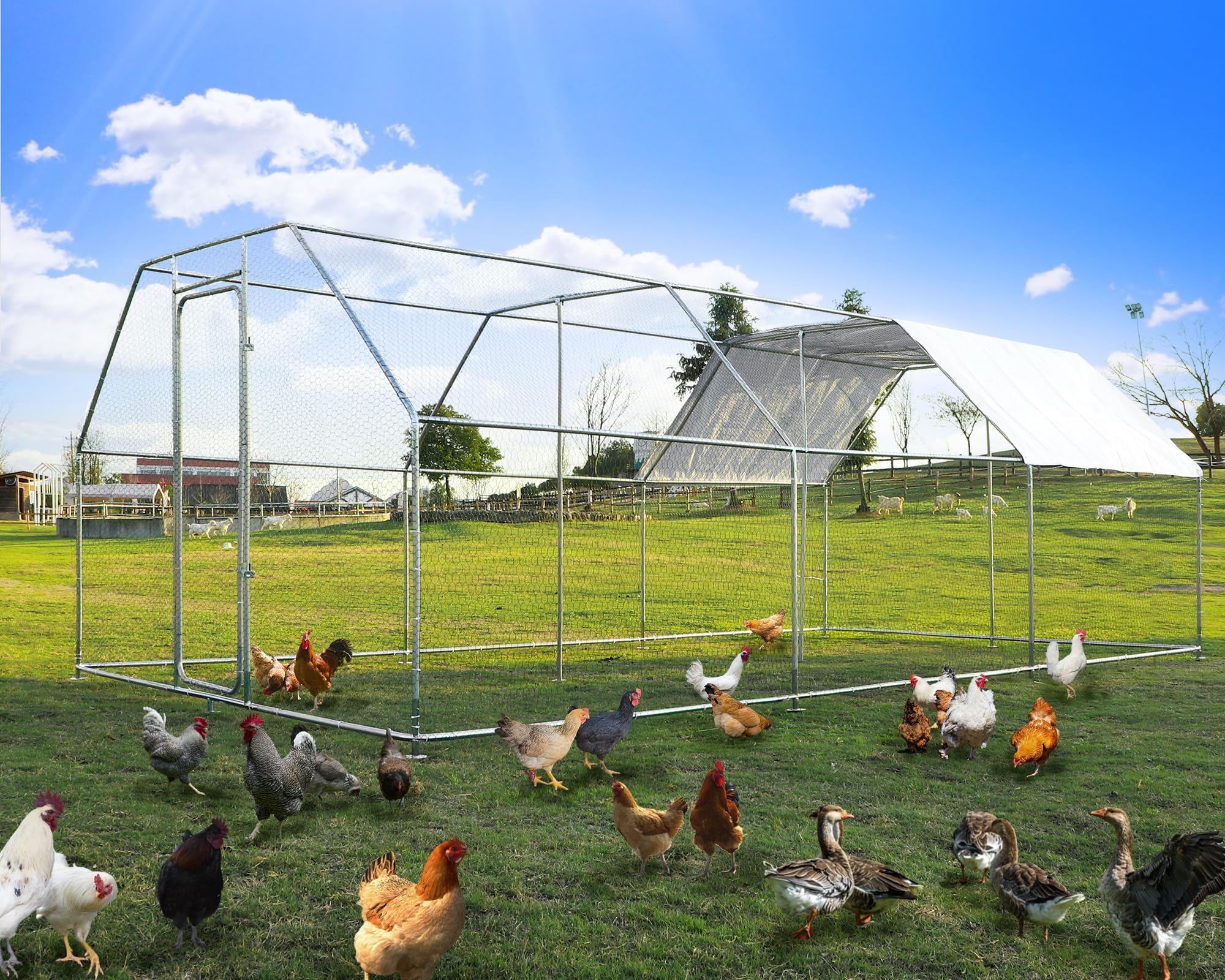 Amazon.com: 73” x 30” Metal Chicken Coop, Foldable Chicken Cage for 6 ...