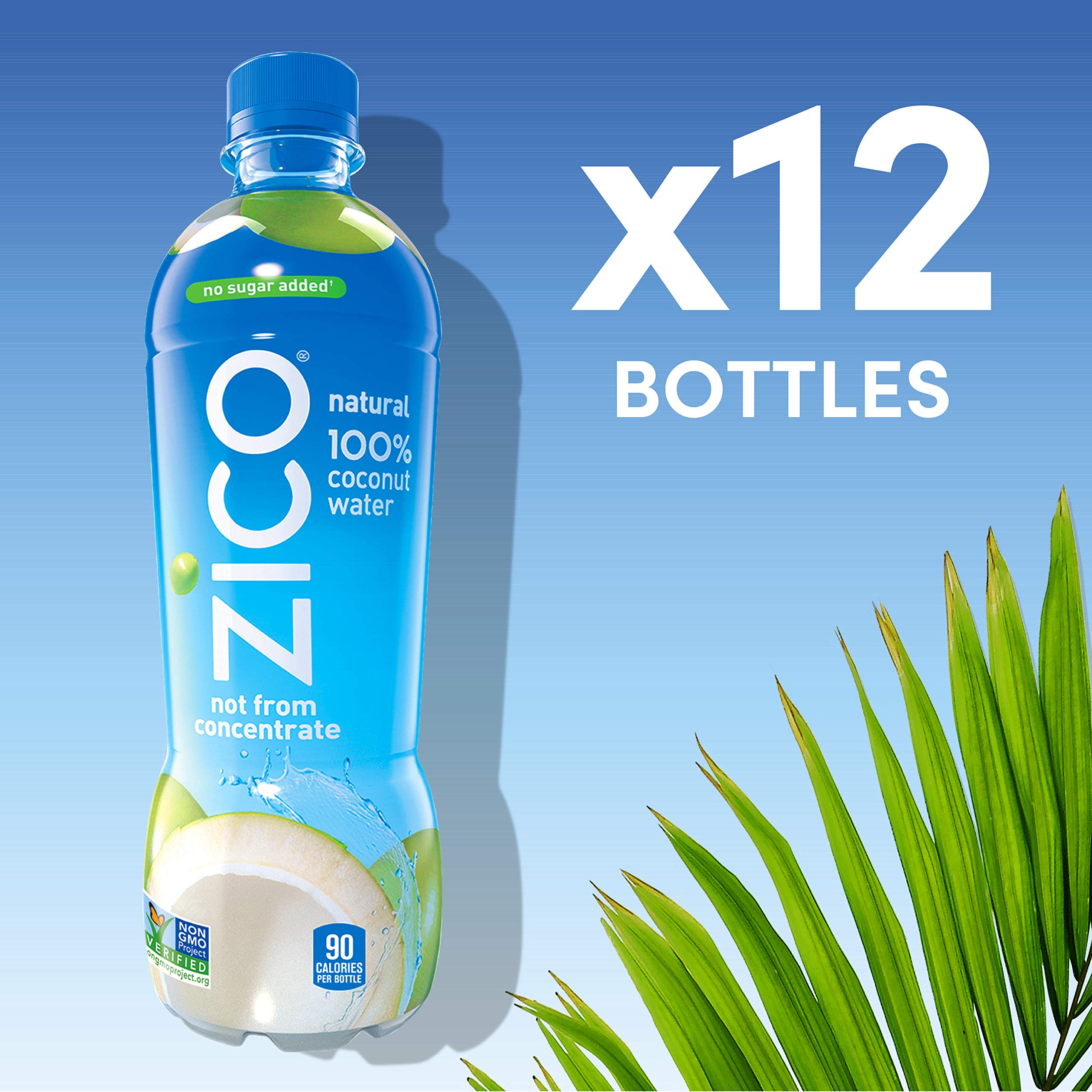 Logotipo De Agua De Coco Zico